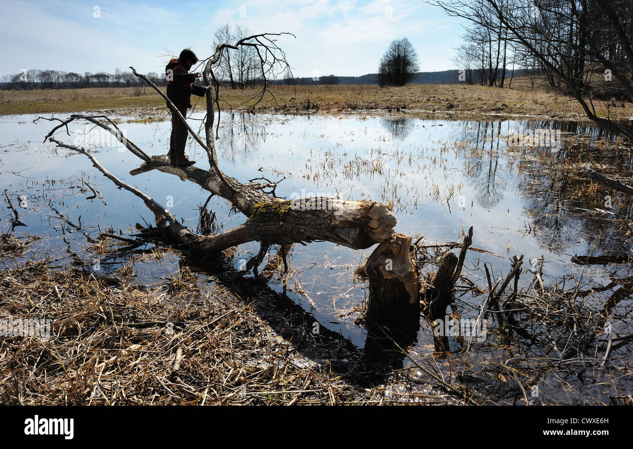 Early spring, the boy climbed onto a fallen tree Stock Photo - Alamy