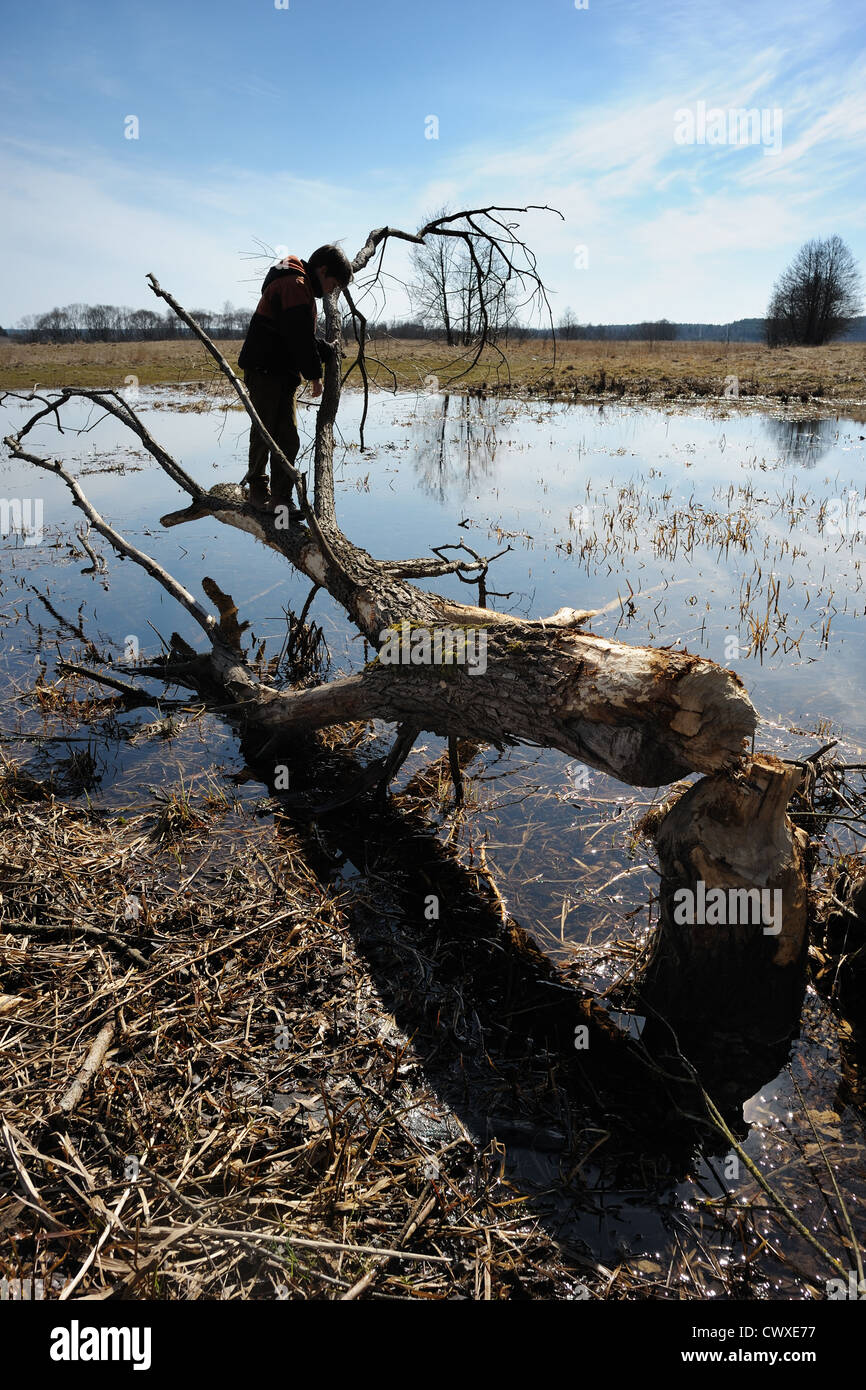 Early spring, the boy climbed onto a fallen tree Stock Photo - Alamy