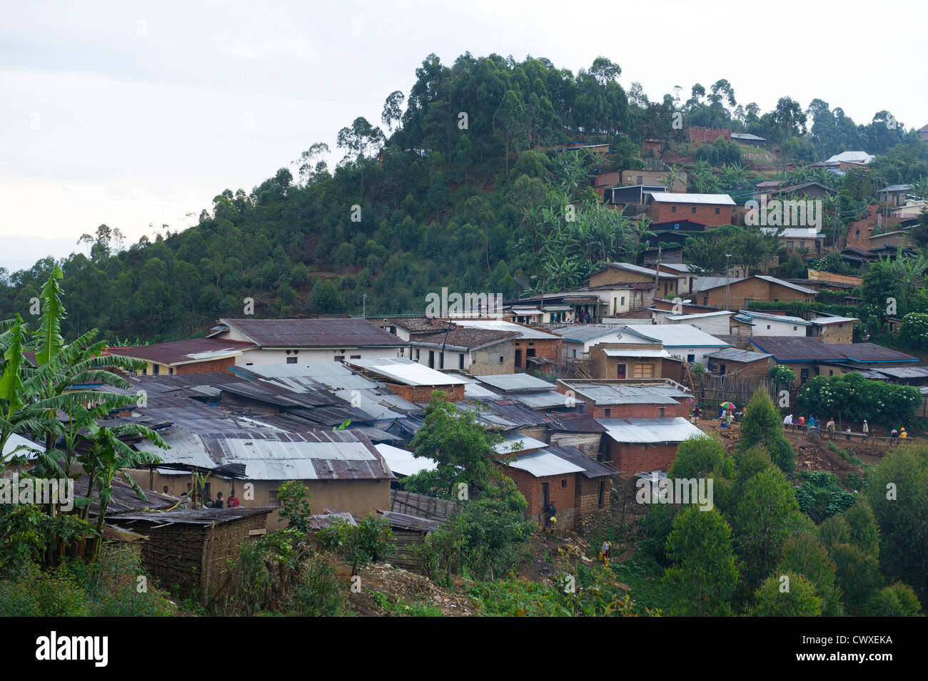 Village at the edge of Nyungwe Forest National Park, Rwanda Stock Photo ...