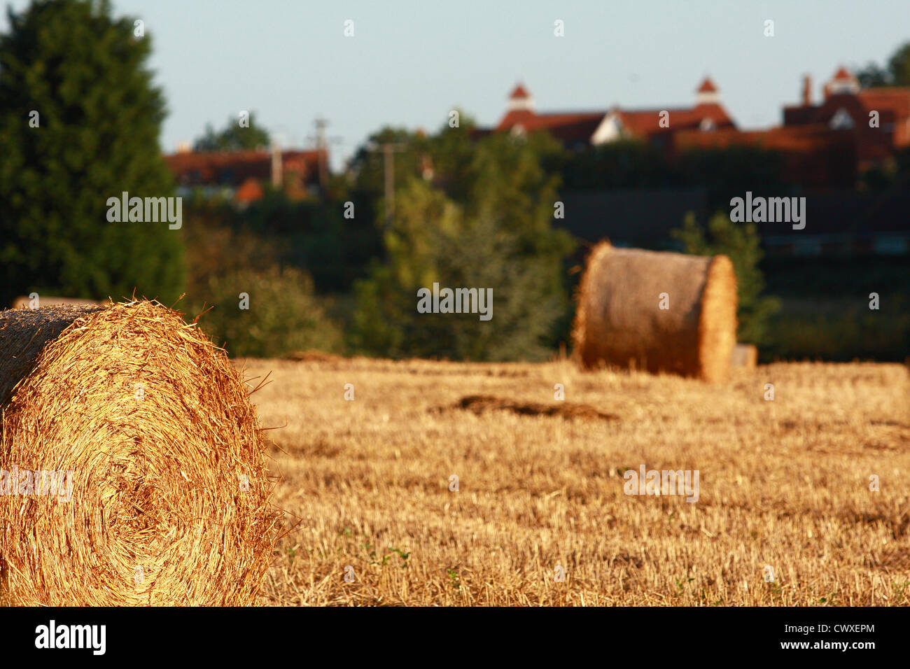 Field straw rolls hi-res stock photography and images - Alamy