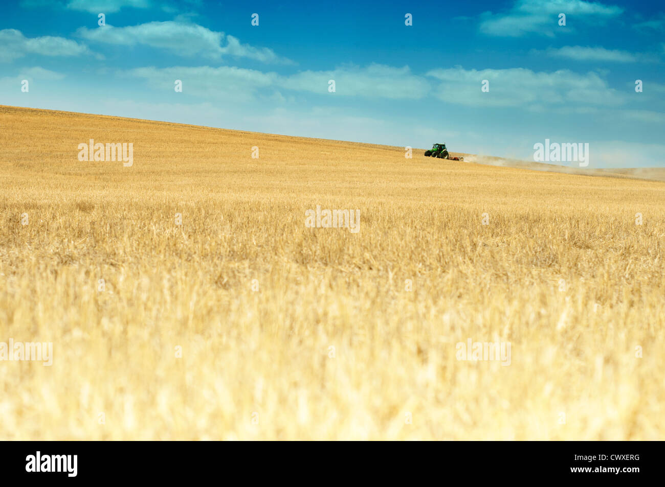 Tractor plowing field on blue sky background Stock Photo - Alamy