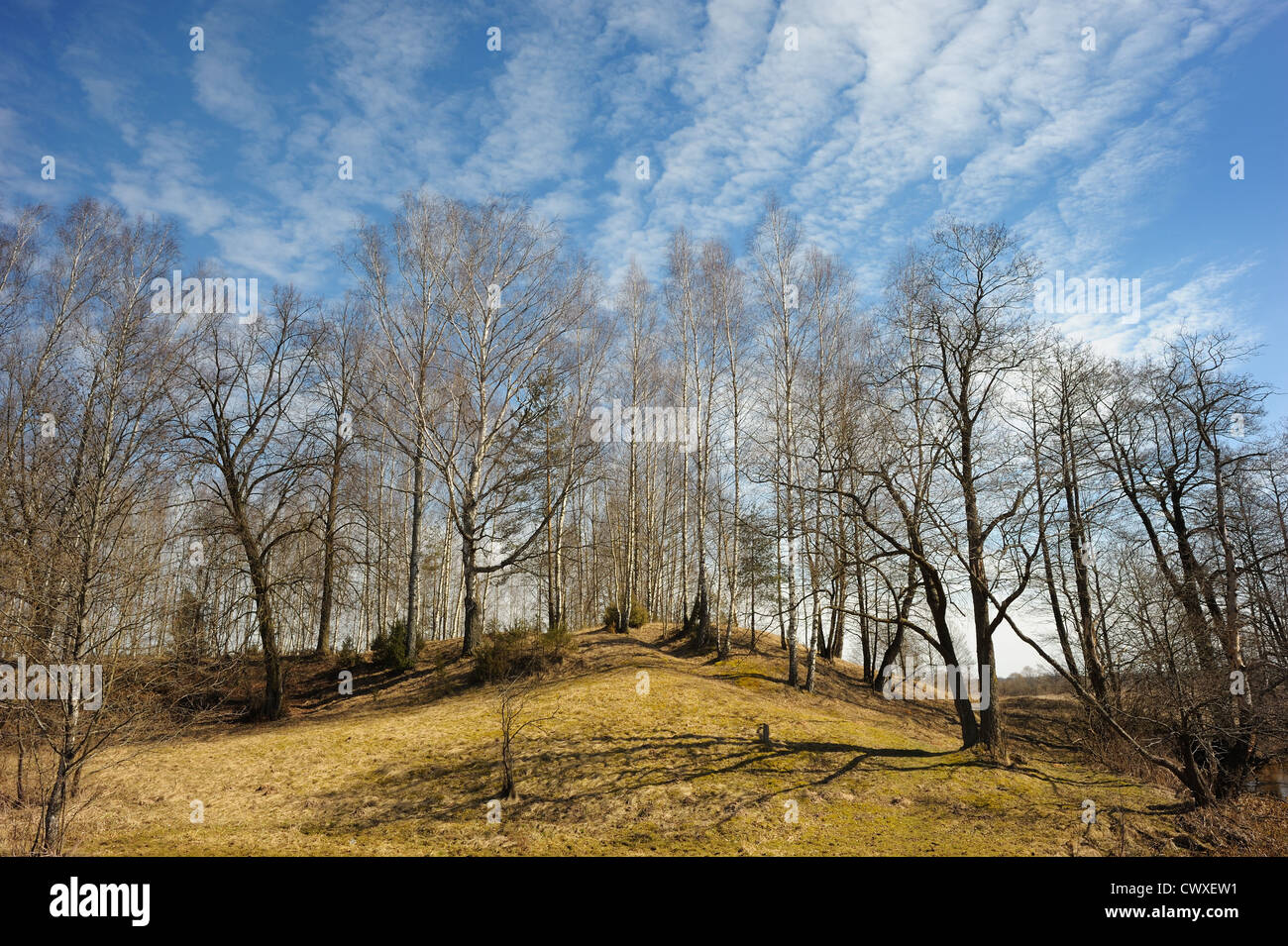 The beginning of spring, landscape with trees on the hill and sky Stock ...