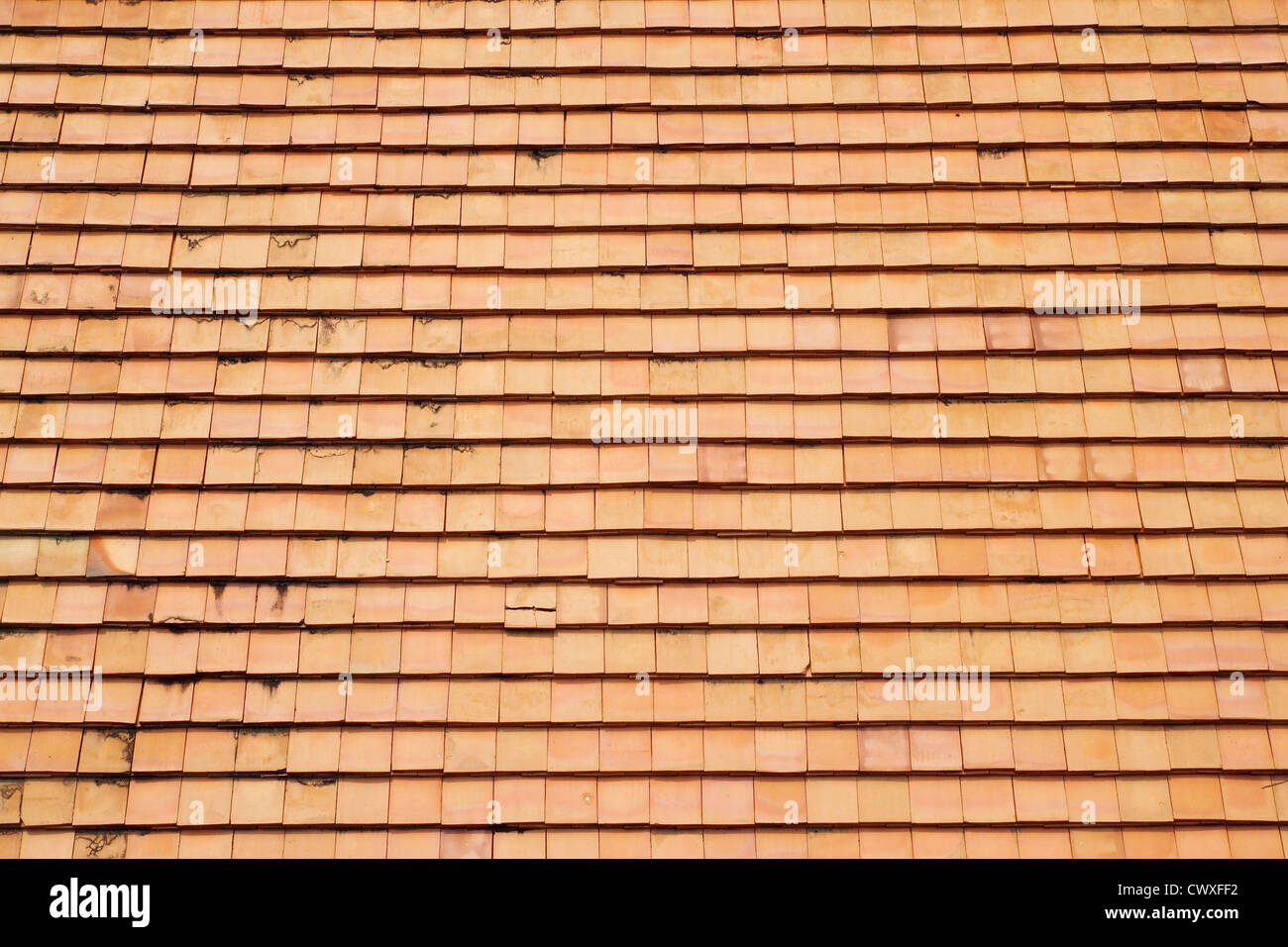 The Clay Roof Tiles of a House in the Countryside of Thailand Stock ...