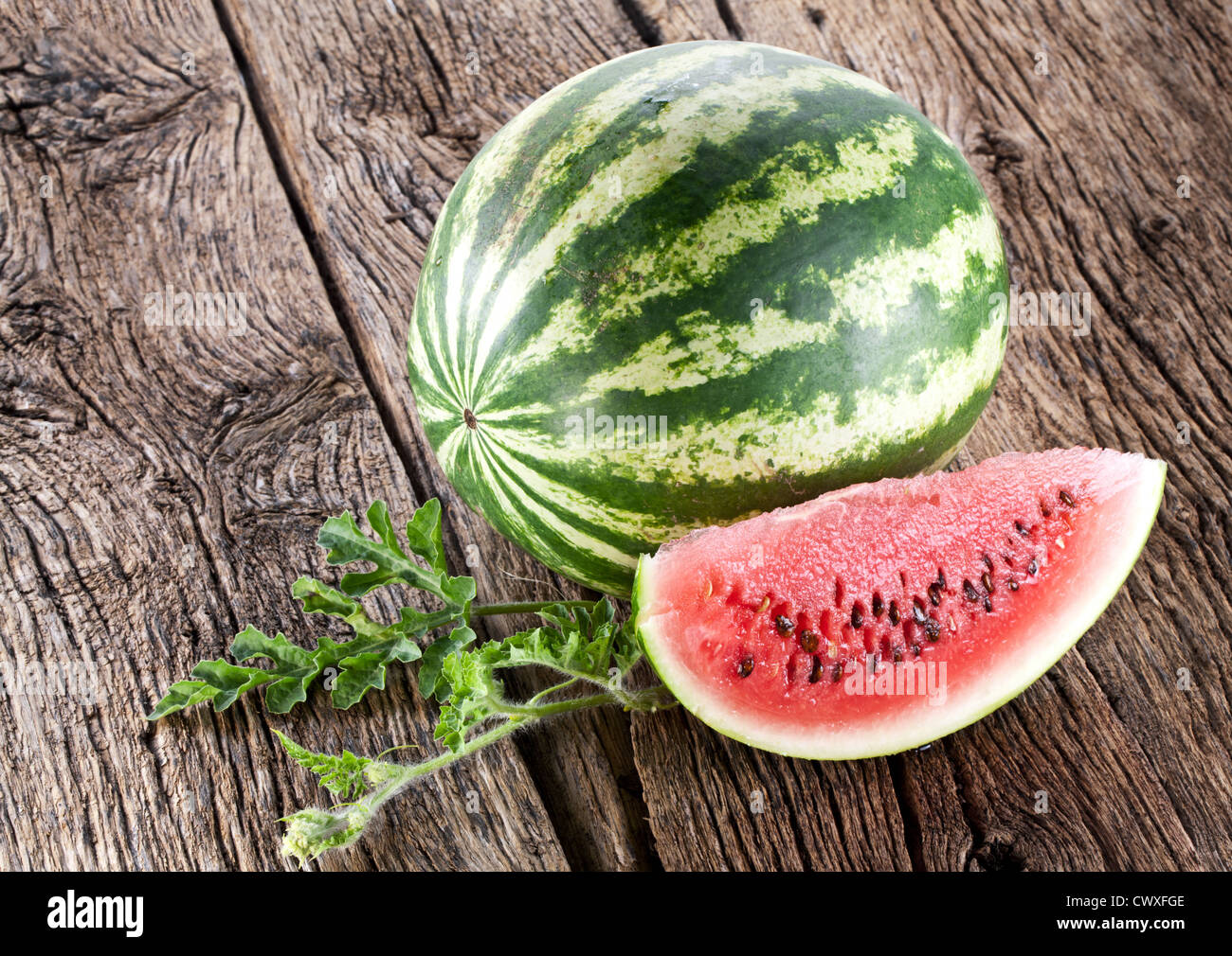 Watermelon leaves hi-res stock photography and images - Alamy