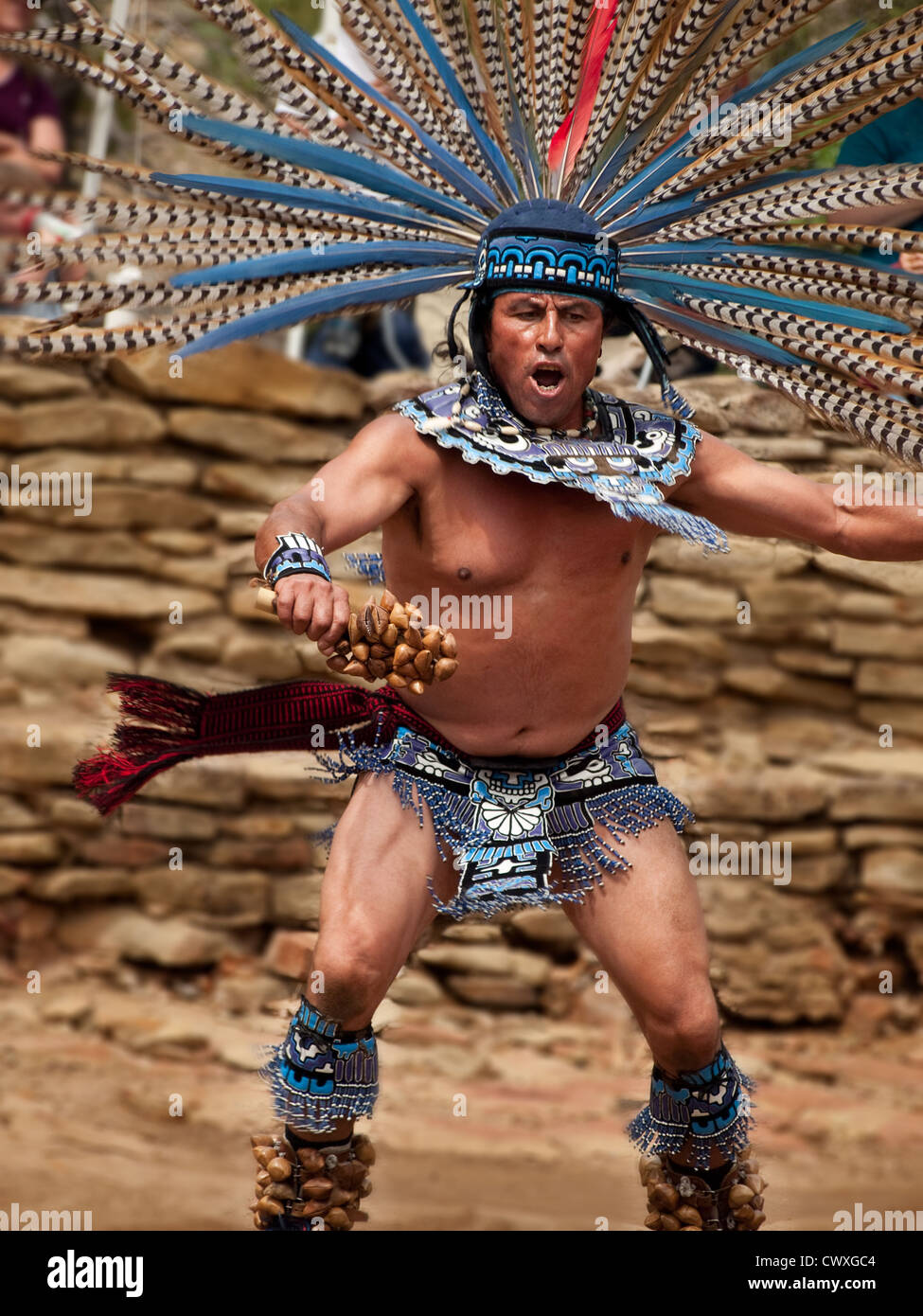 Native American Male Dancer in Feathered Headdress in Colorado Stock ...