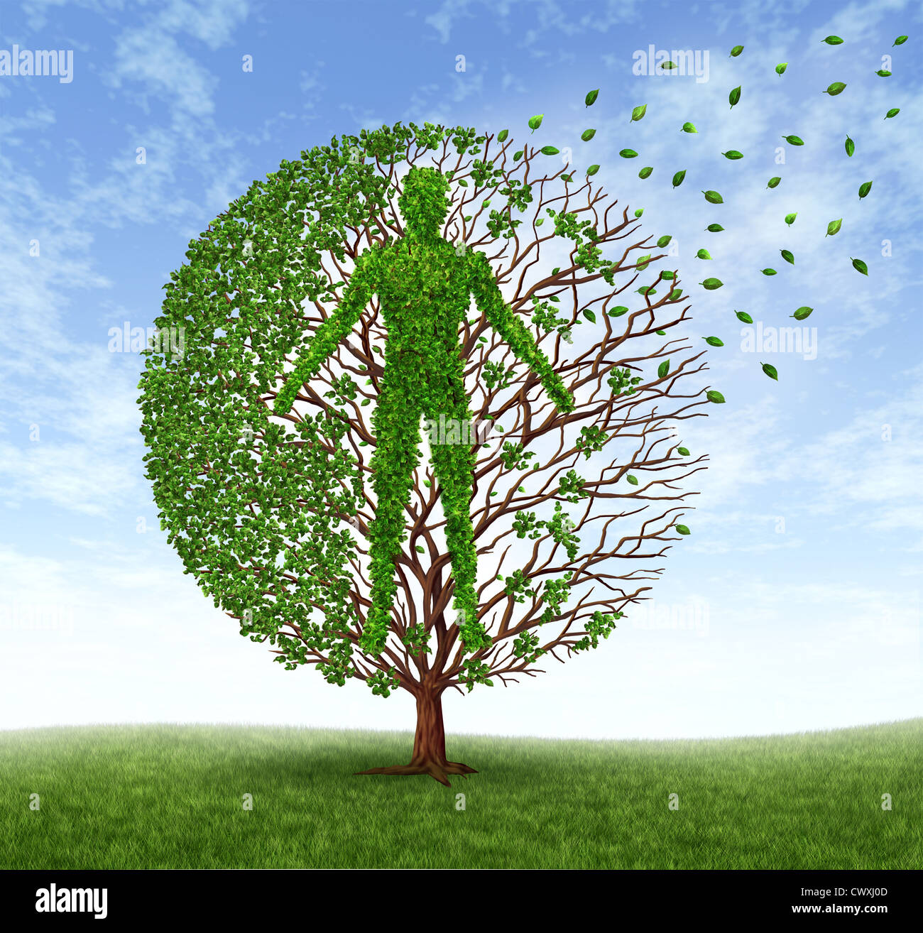 Aging and disease with a tree and leaves with branches in the shape of ...