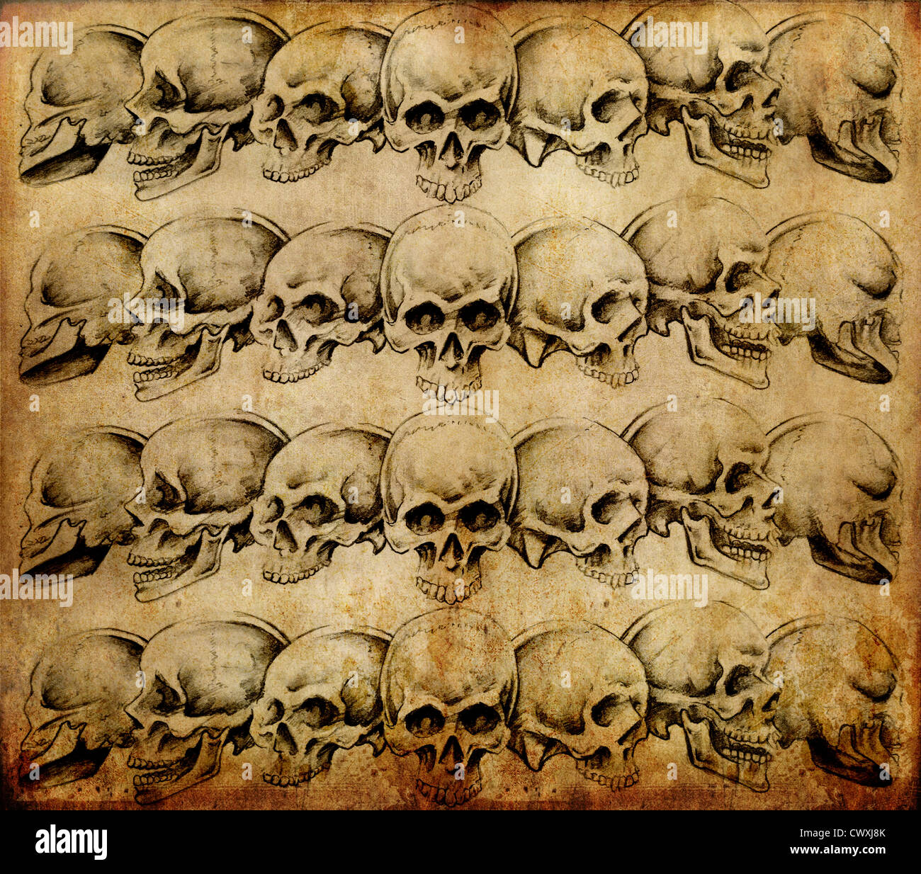 Clown skulls hi-res stock photography and images - Alamy