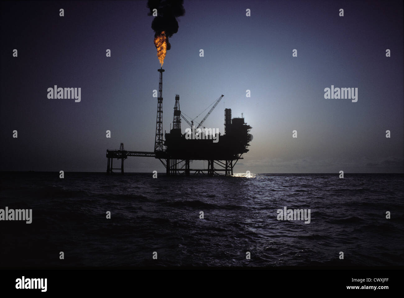Fulmar Oil High Resolution Stock Photography and Images - Alamy