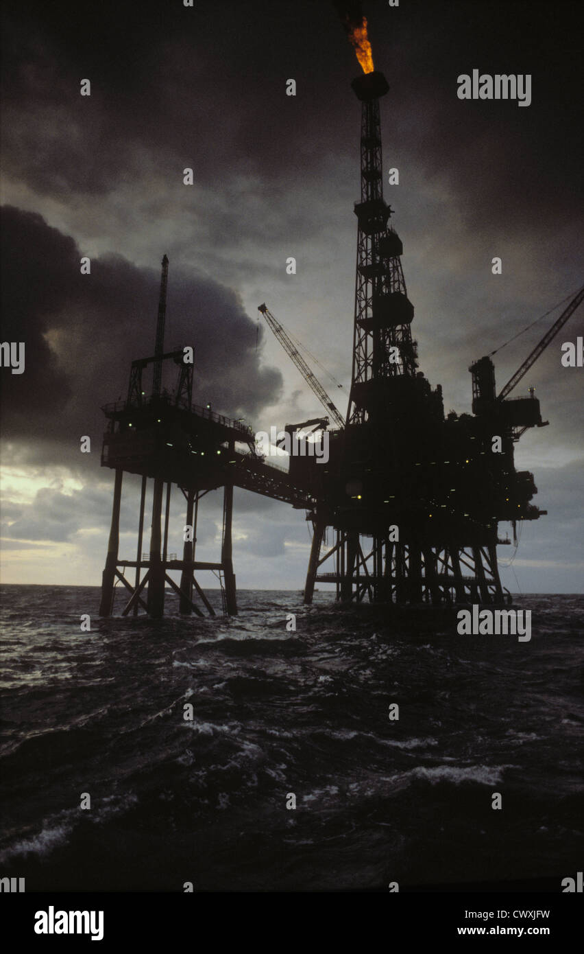 Fulmar A Rough Weather Stock Photo - Alamy