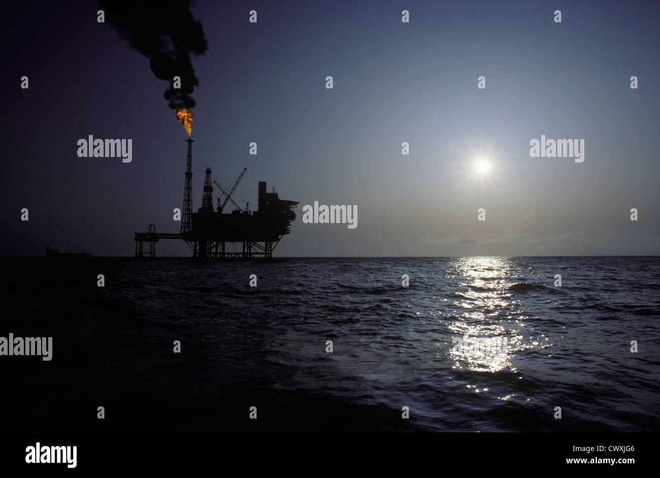 Fulmar A platform against setting sun Stock Photo - Alamy