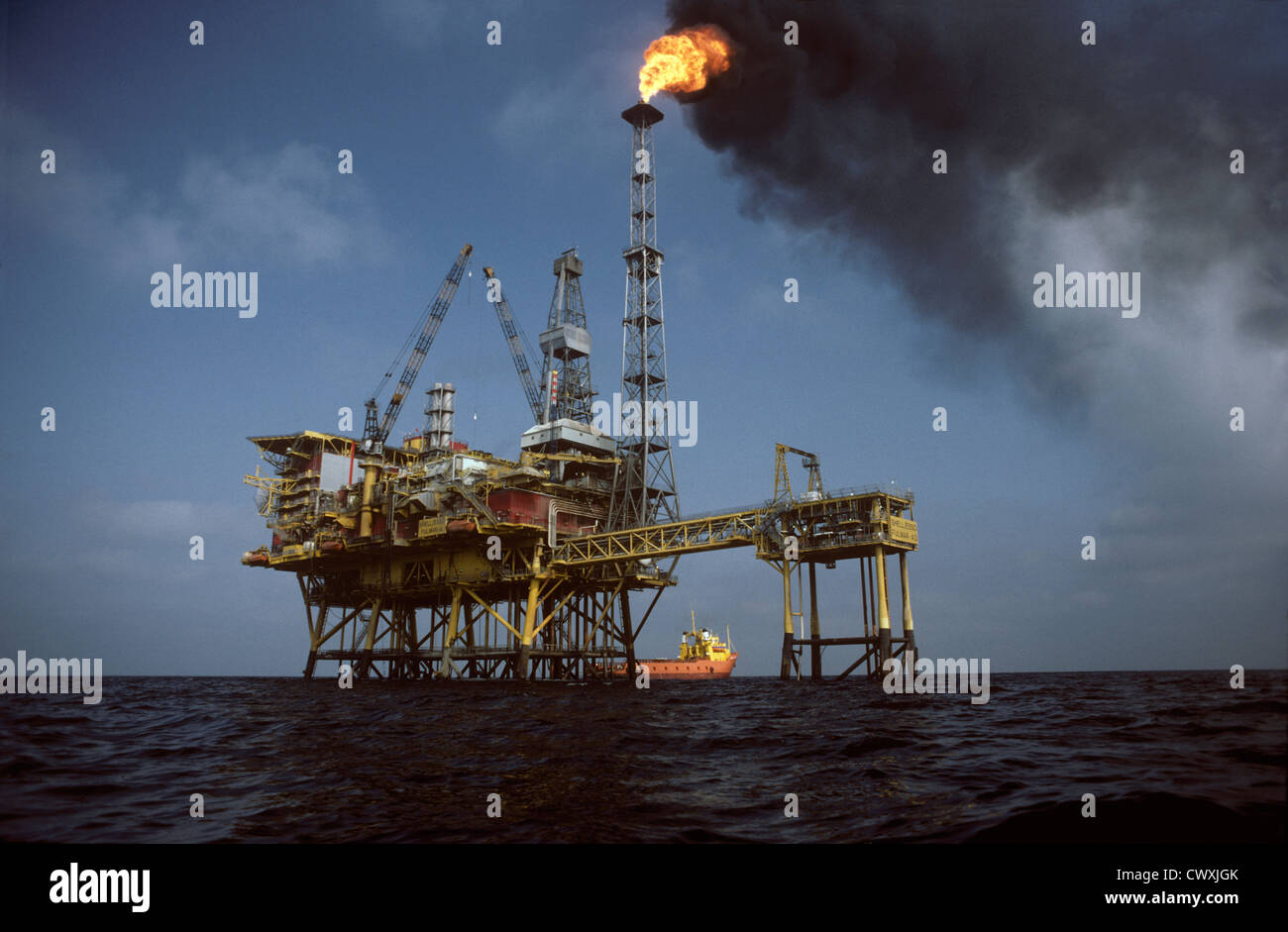 Fulmar Oil High Resolution Stock Photography and Images - Alamy