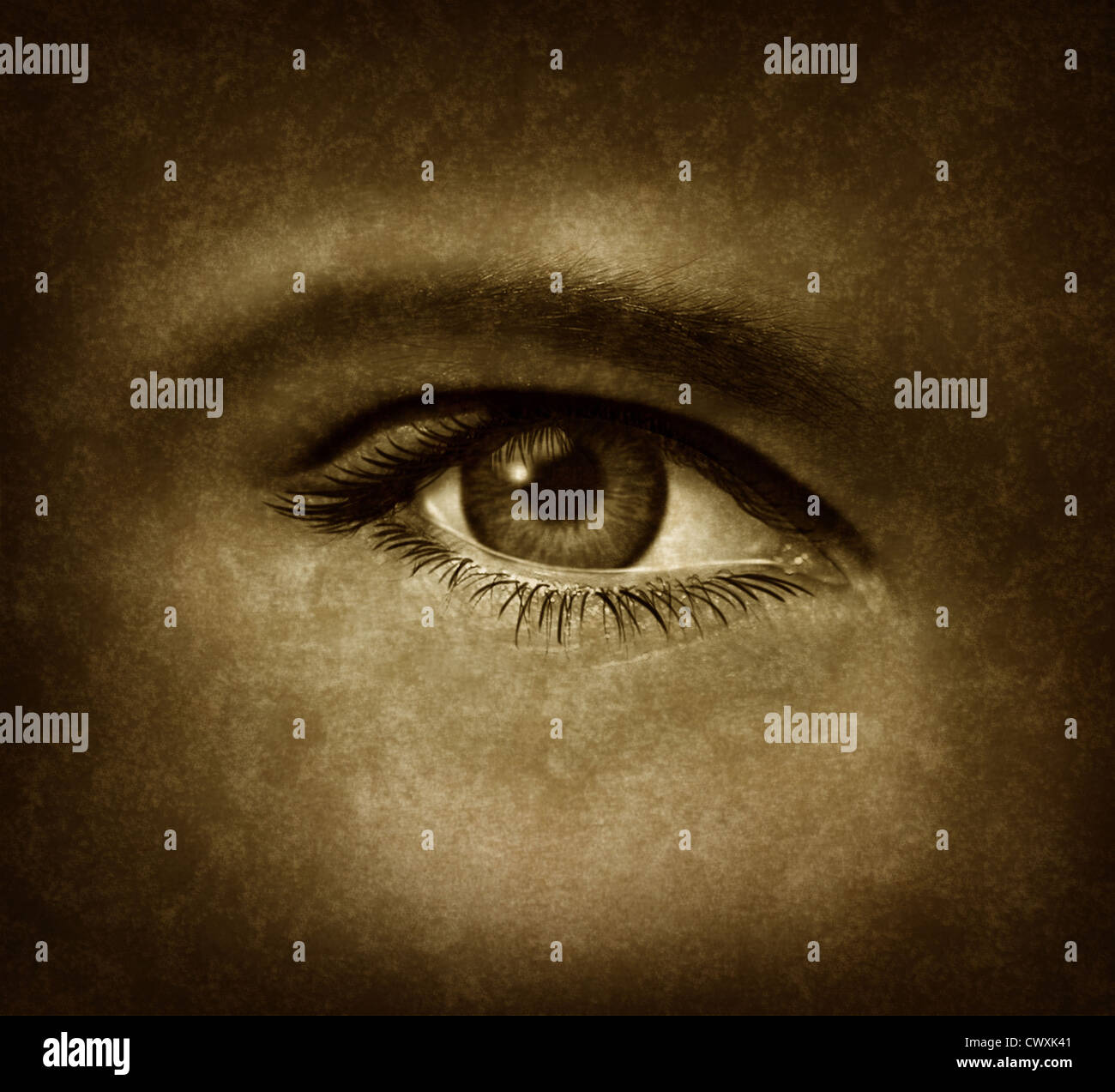 Human Eye with old parchment paper grunge texture as a vintage eyesight ...