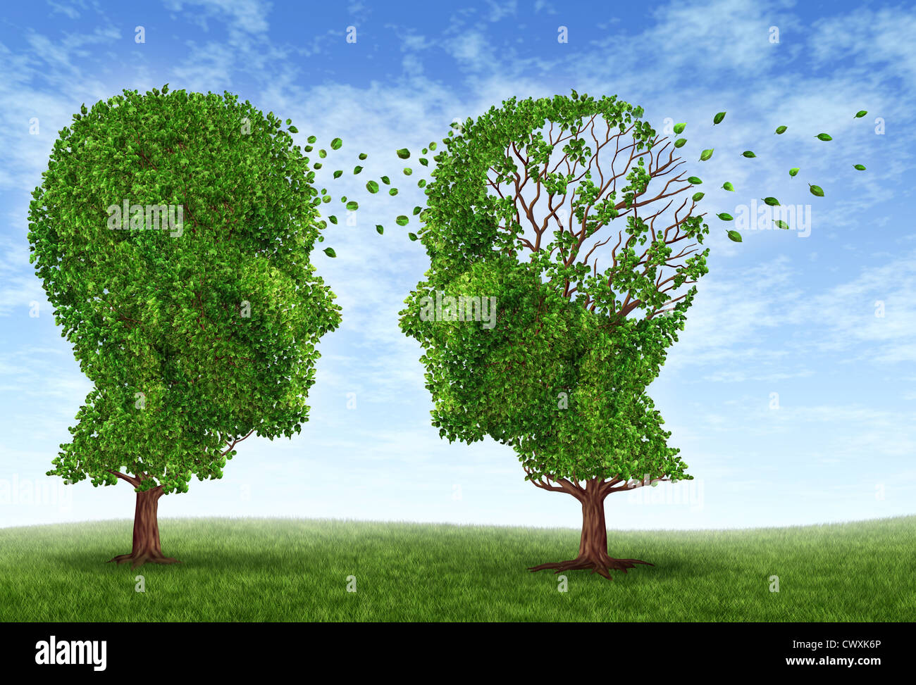 Living with alzheimers disease with two trees in the shape of a human ...