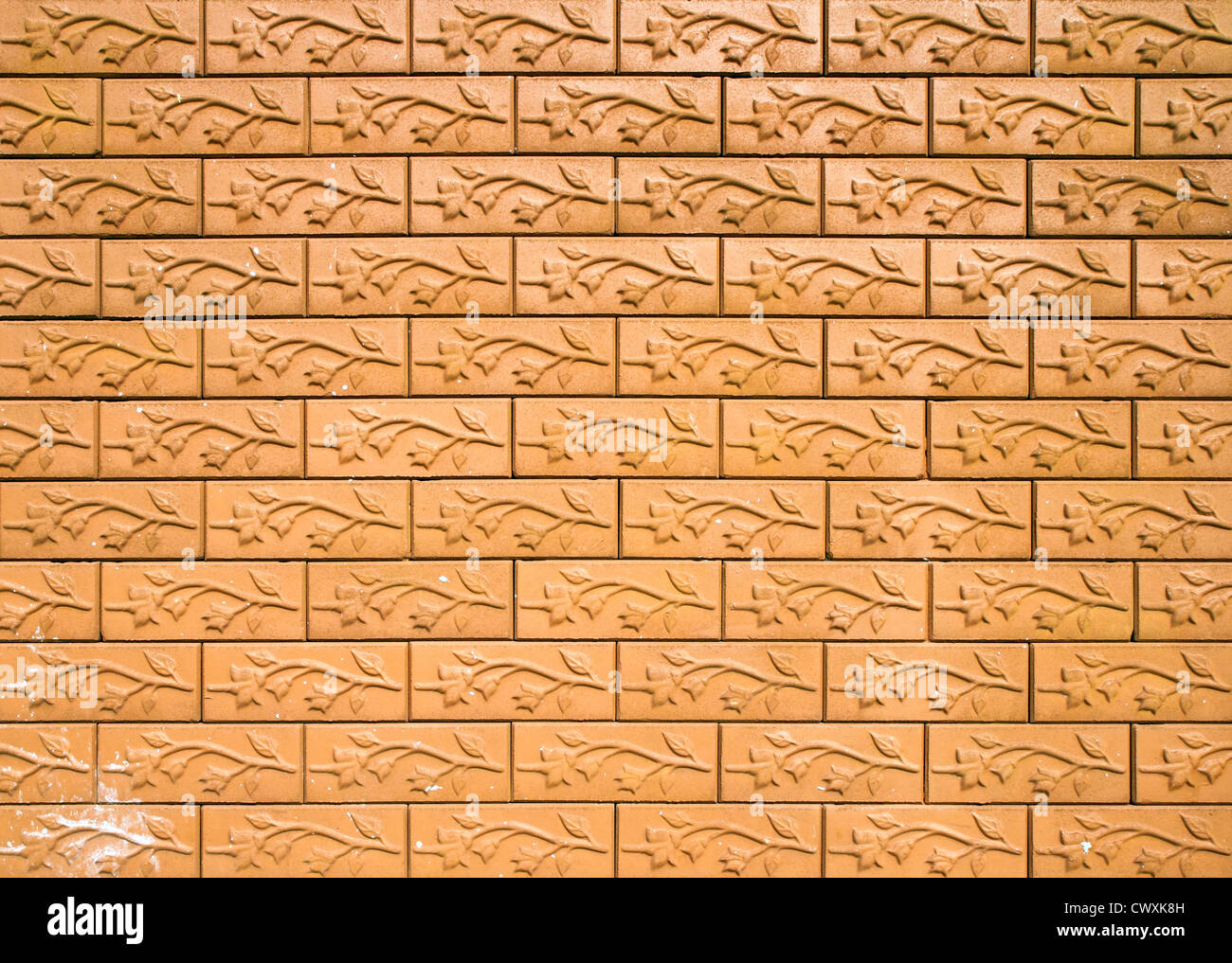 brick wall and branch texture Stock Photo - Alamy