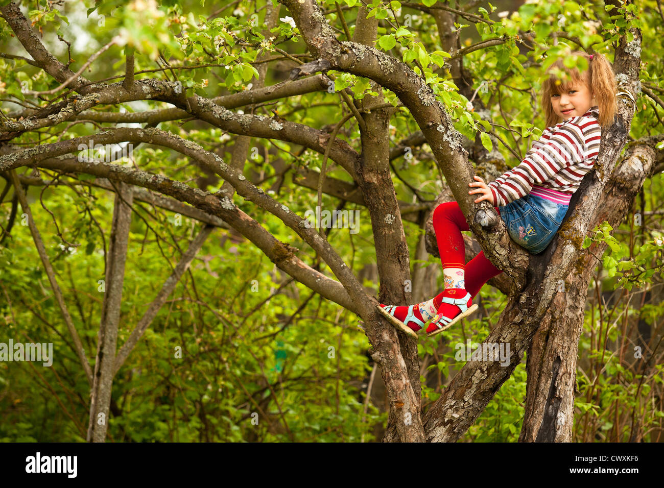 Lovely little girl posing sitting on a tree in the garden Stock Photo ...