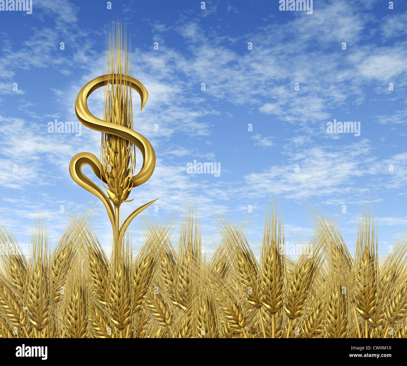 Money crop and cash farming industry concept representing the finances ...