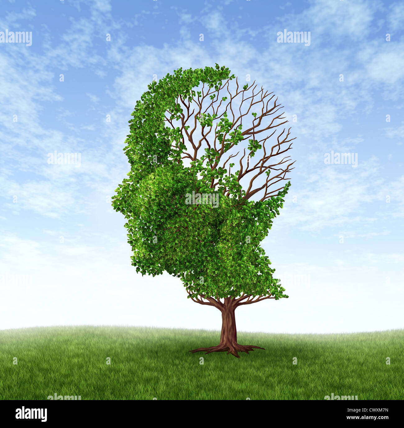 Dementia brain tree hi-res stock photography and images - Alamy