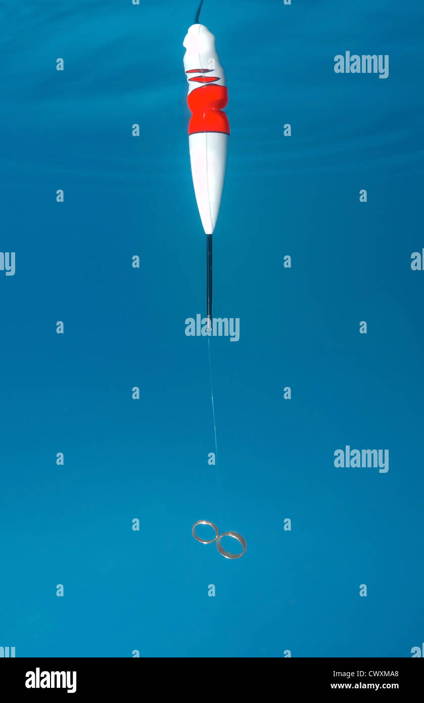 two wedding rings on float in the blue water Stock Photo - Alamy