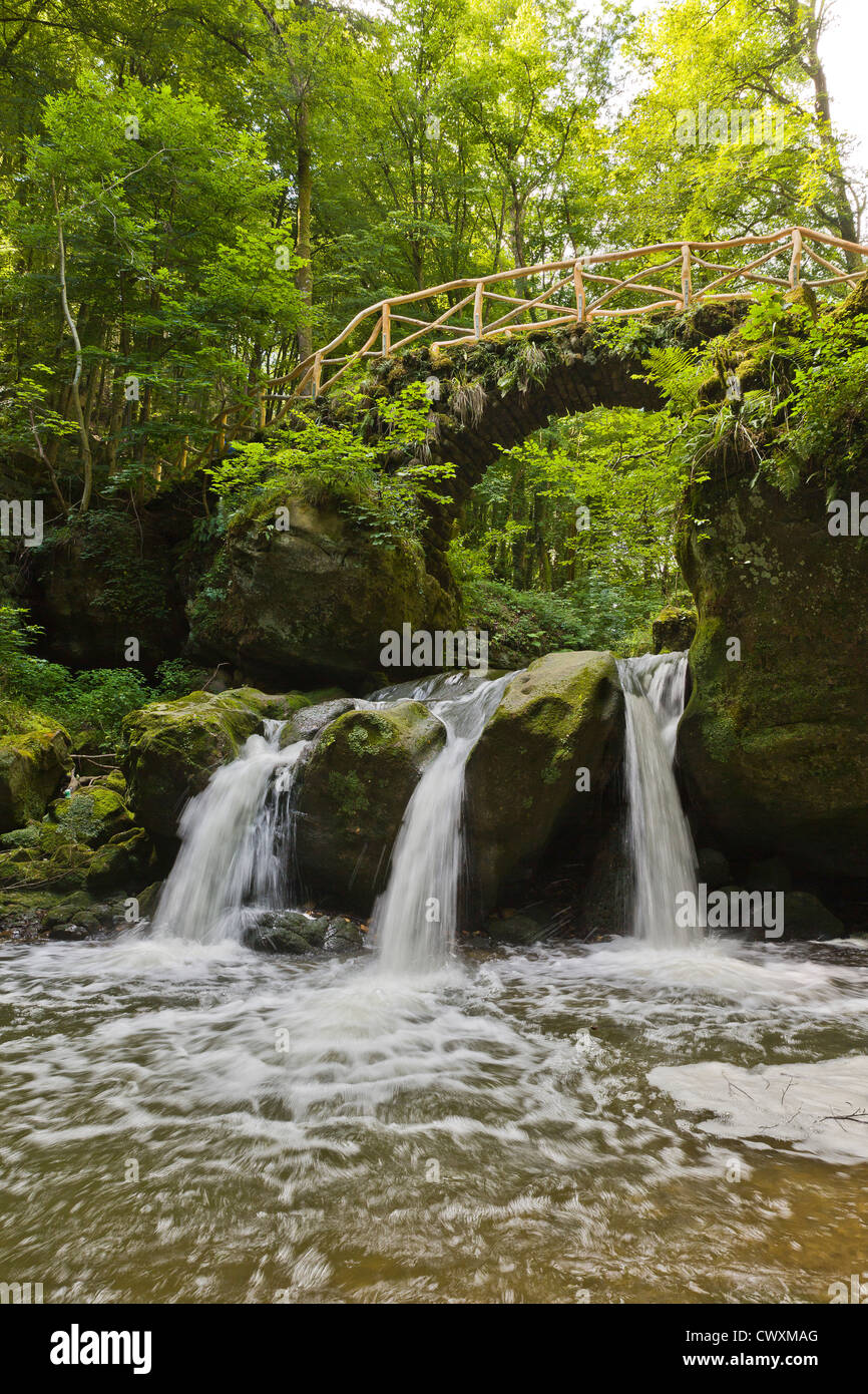 Black ernz hi-res stock photography and images - Alamy