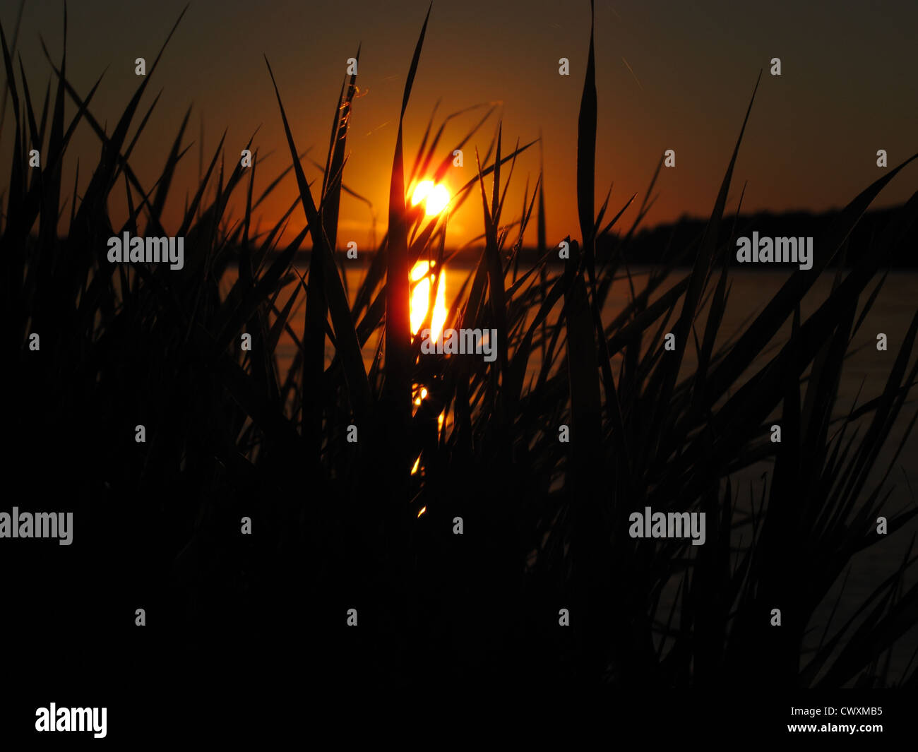 Sunset at the Robert Moses State Park at Moses-Saunders Power Dam, St ...