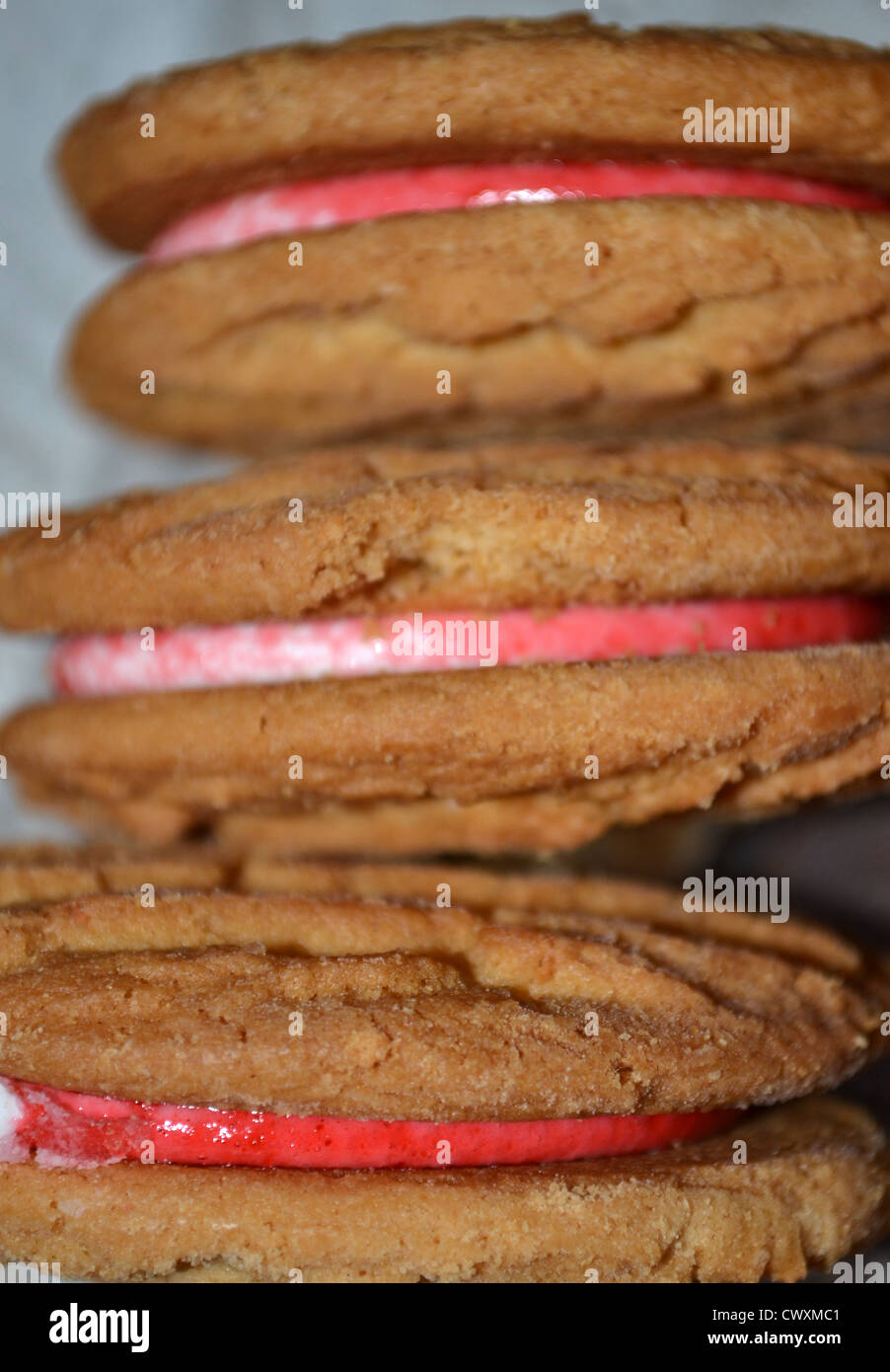 Arnott's Monte Carlo biscuit Stock Photo - Alamy