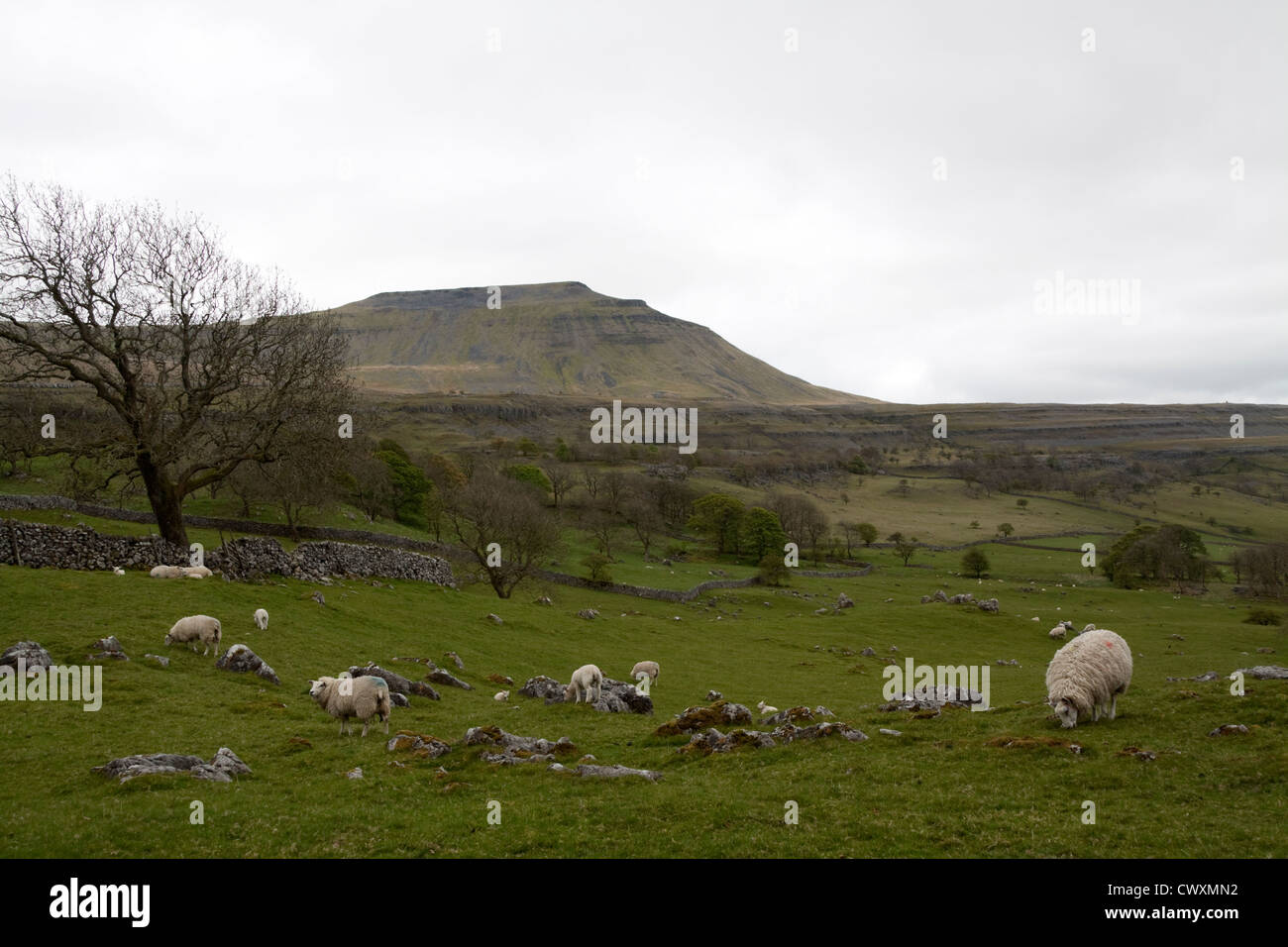 Hamlet of chapel le dale hi-res stock photography and images - Alamy