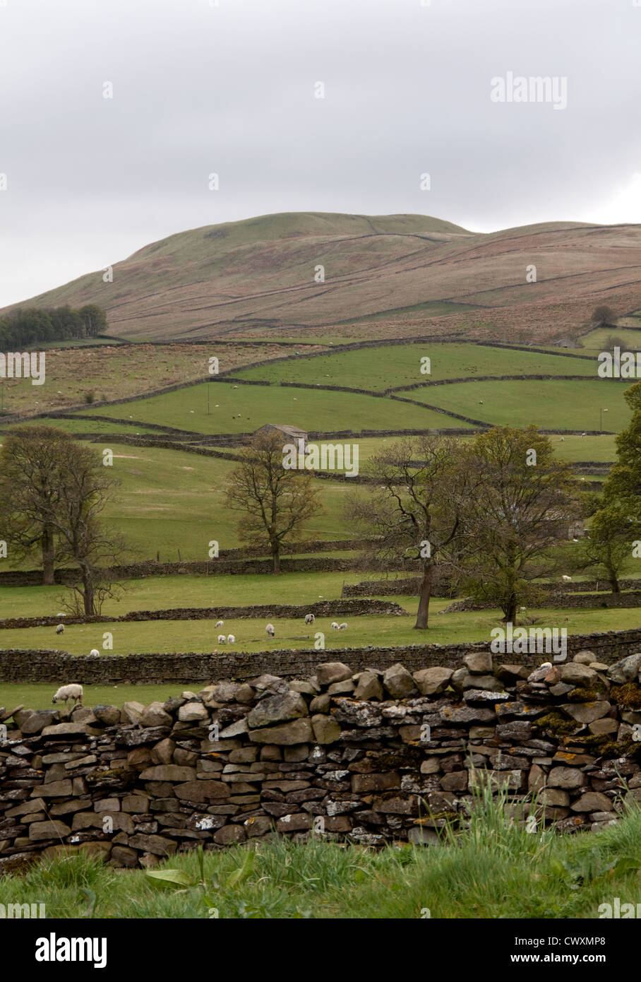 Gayle Lane Hawes Yorkshire Dales England uk Stock Photo - Alamy