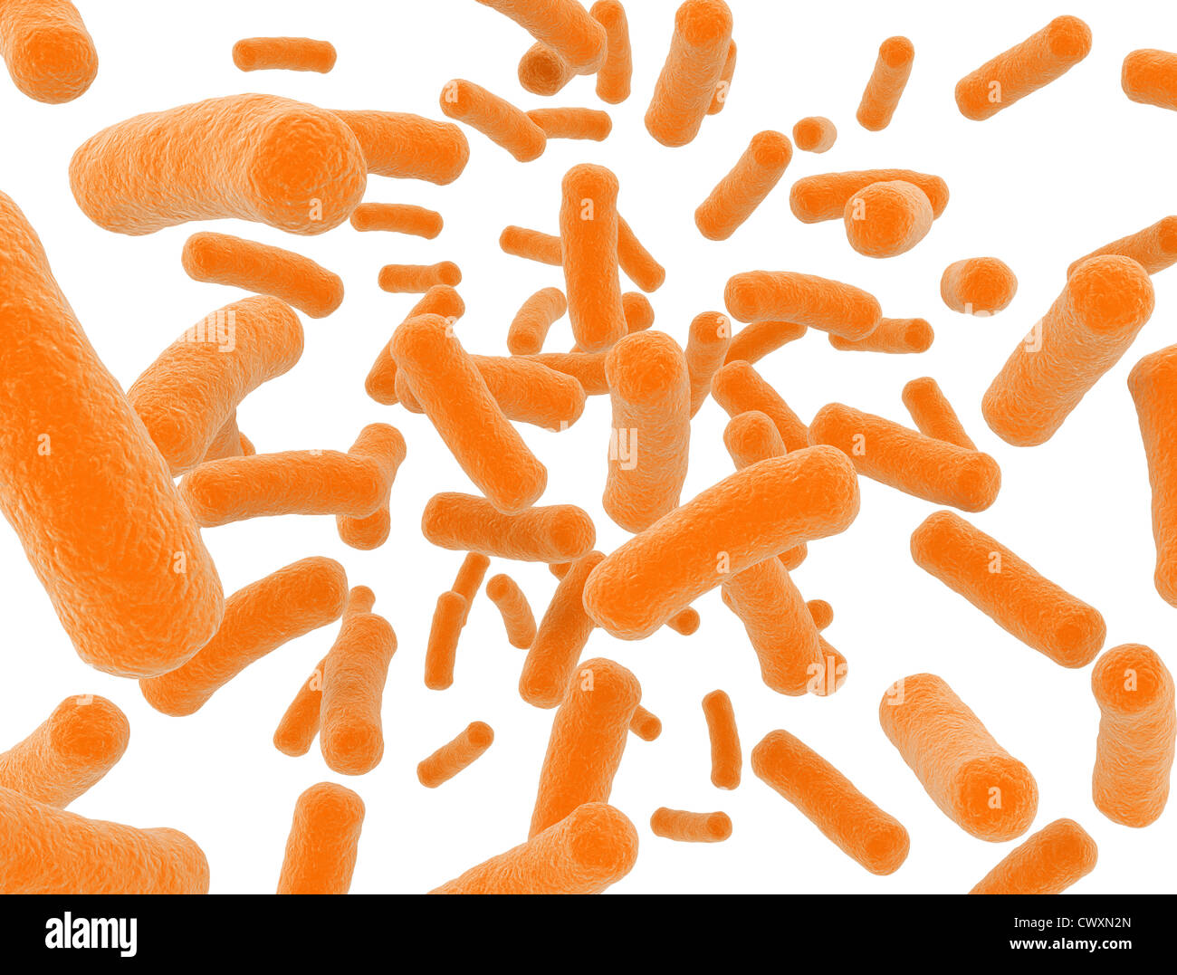 Large group of bacteria cells isolated on white Stock Photo - Alamy