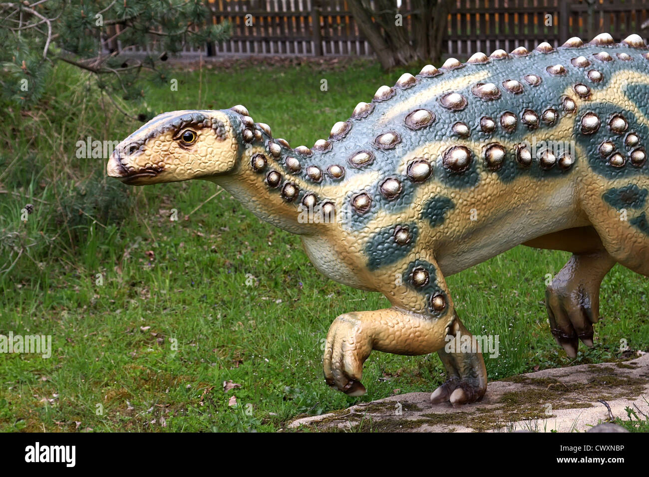Scelidosaurus hi-res stock photography and images - Alamy