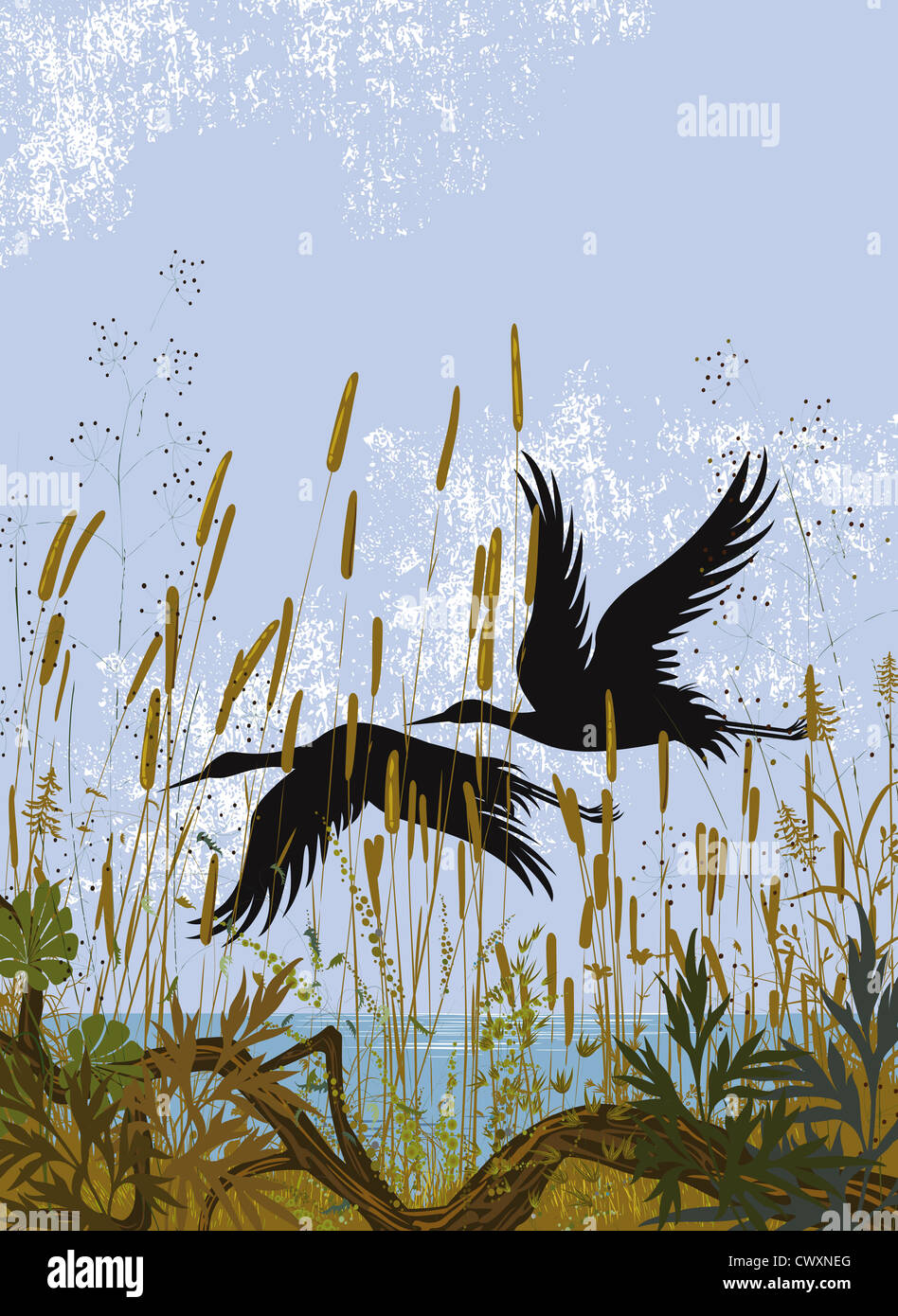 Stork flying over calm river hi-res stock photography and images - Alamy