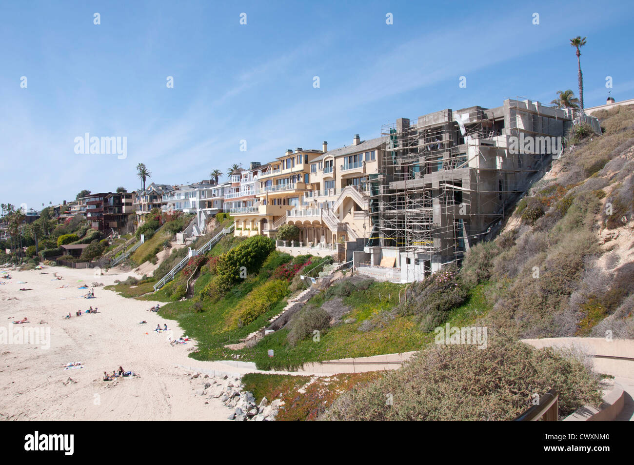 California heel side view on the beach Stock Photo - Alamy