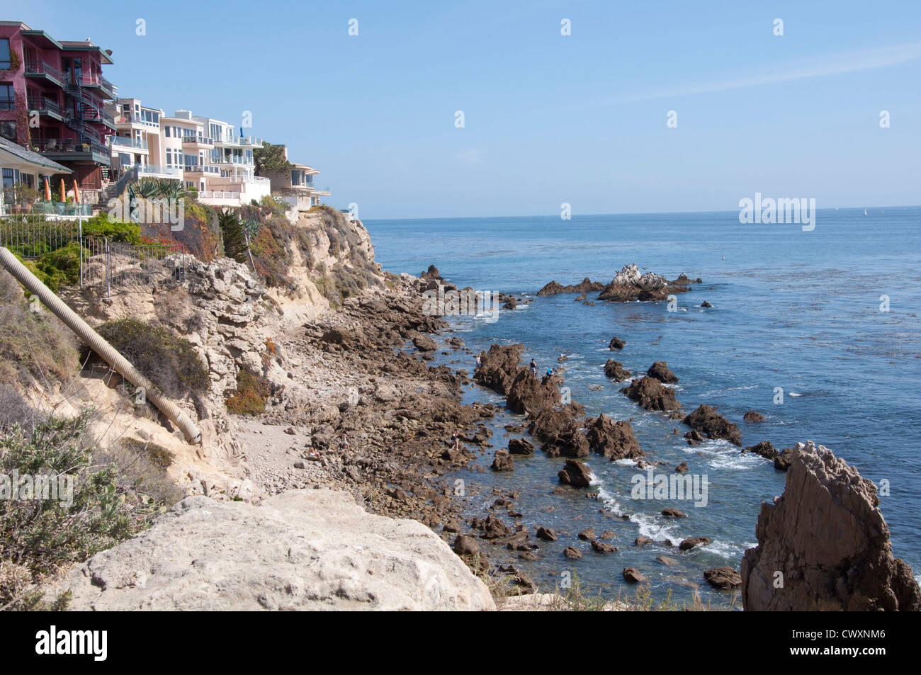 California heel side view on the beach Stock Photo - Alamy