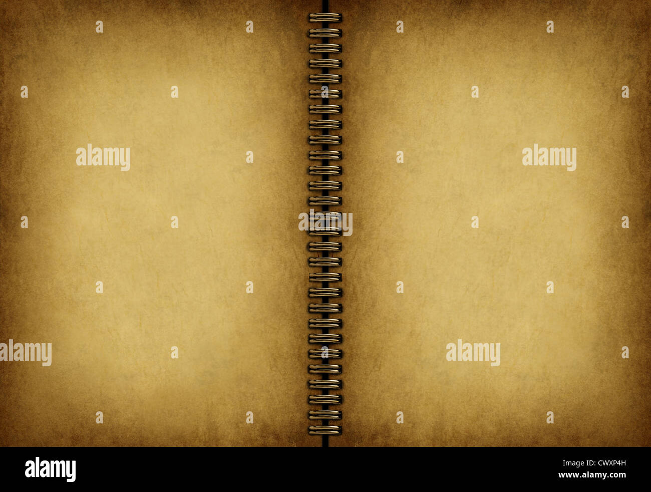 Parchment book hi-res stock photography and images - Alamy