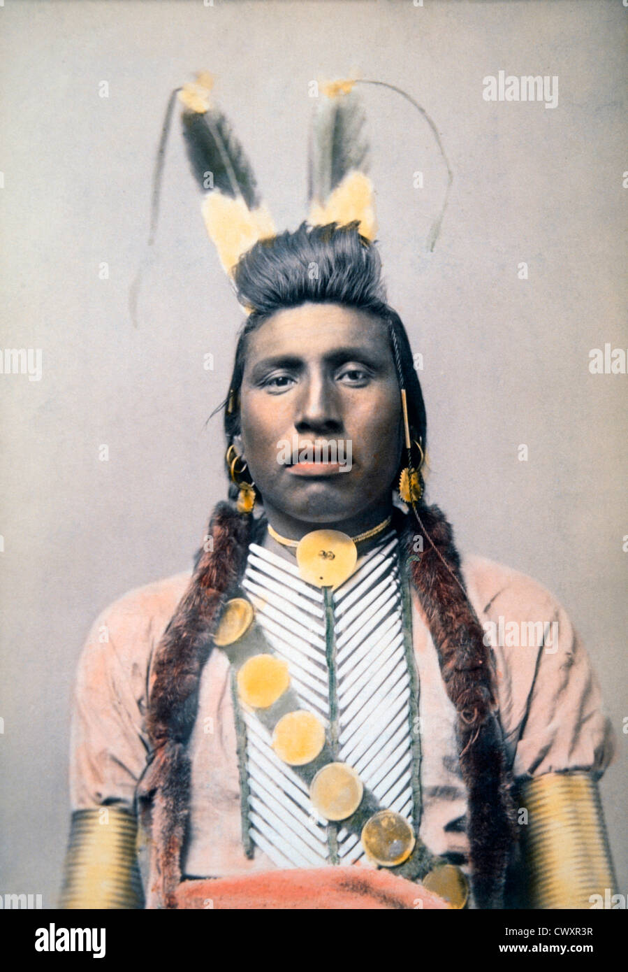 Chief White Bull High Resolution Stock Photography and Images - Alamy