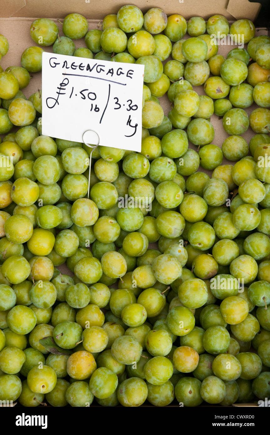 Greengage Fruit High Resolution Stock Photography and Images - Alamy