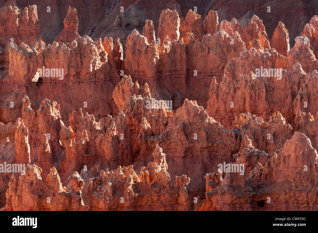 Sunset on the hoodoos from Sunset Point, Bryce Canyon National Park ...