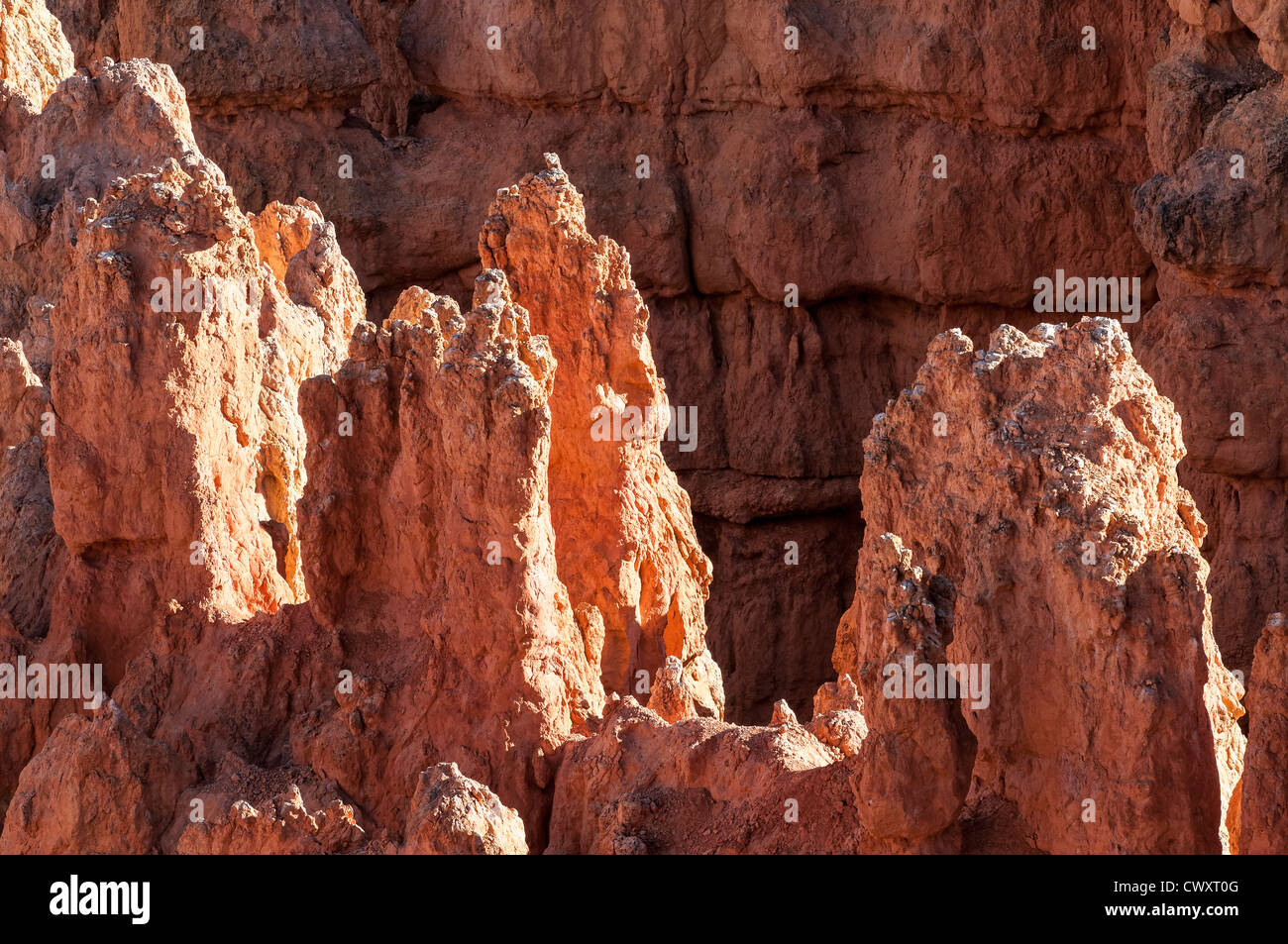 Hoodoos at sunset at bryce canyon national park hi-res stock ...