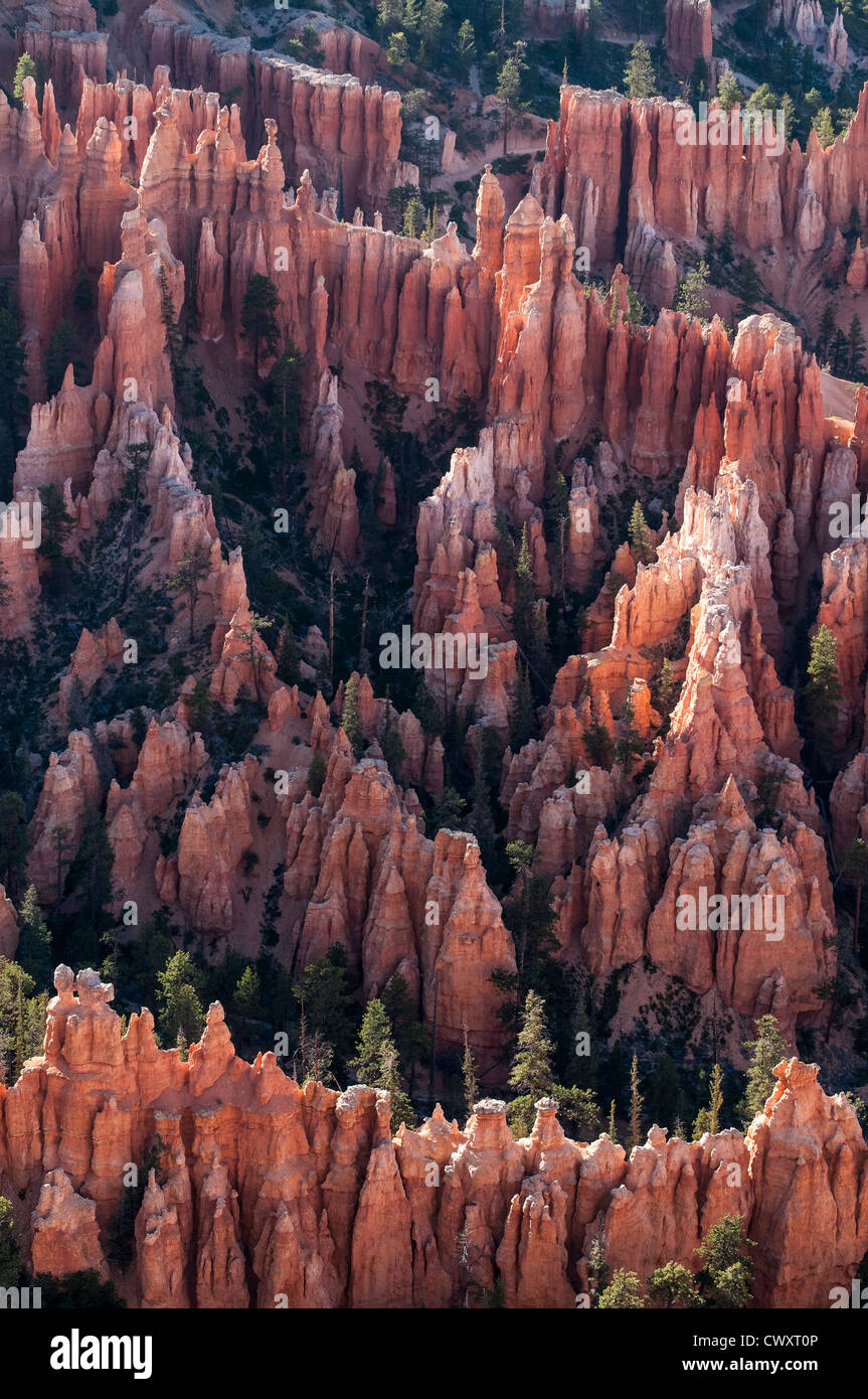 Sunset on the hoodoos from Bryce Point, Bryce Canyon National Park ...