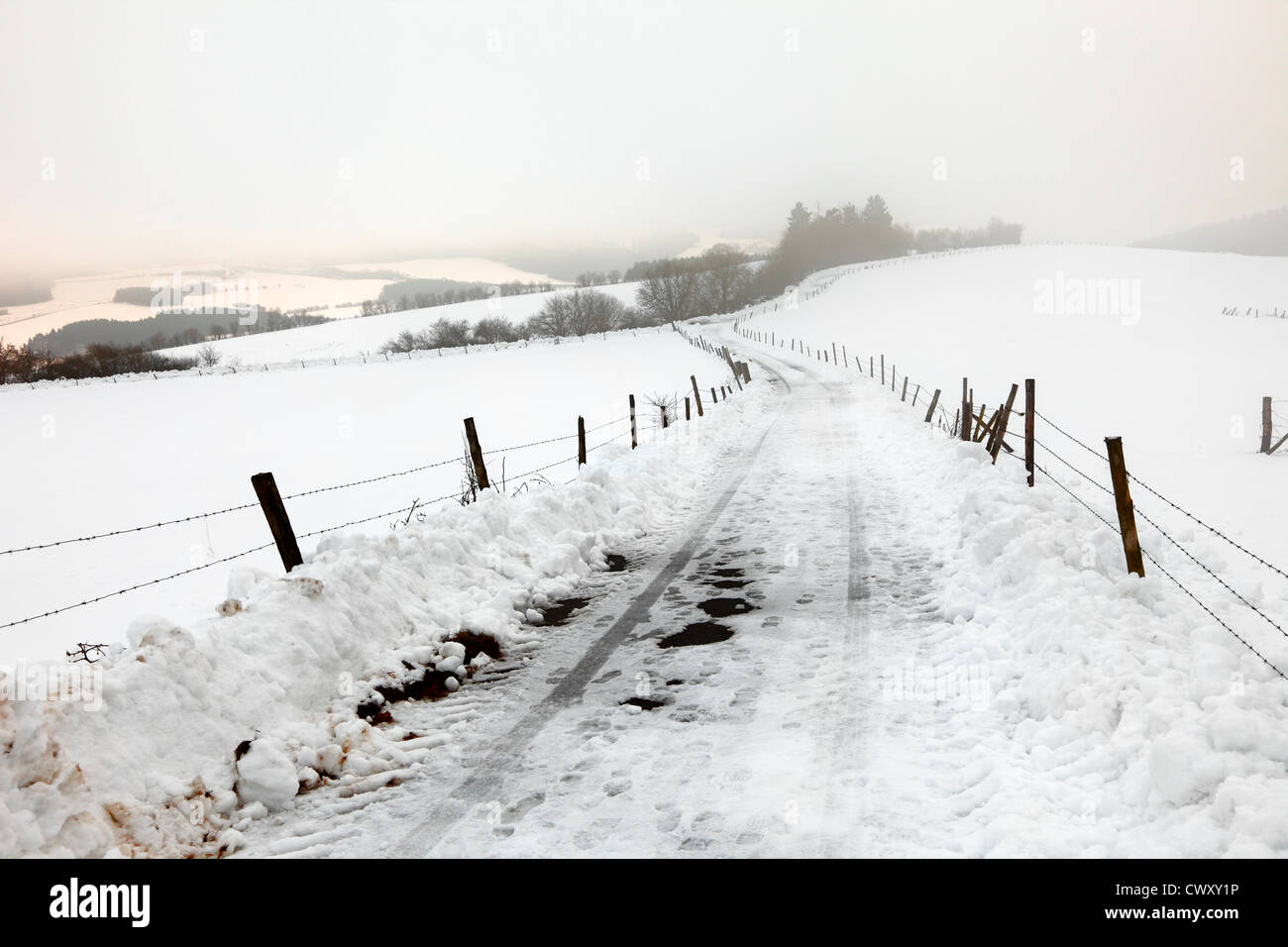 An asphalt country road in a snow storm, fields at small town Pruem ...