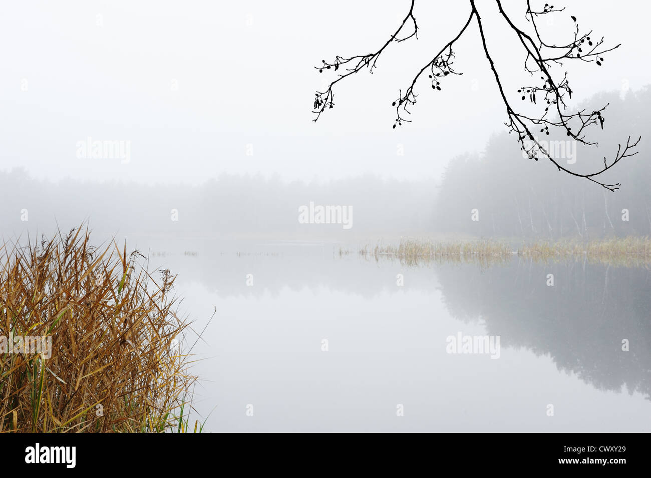 Overcast with grass hi-res stock photography and images - Alamy
