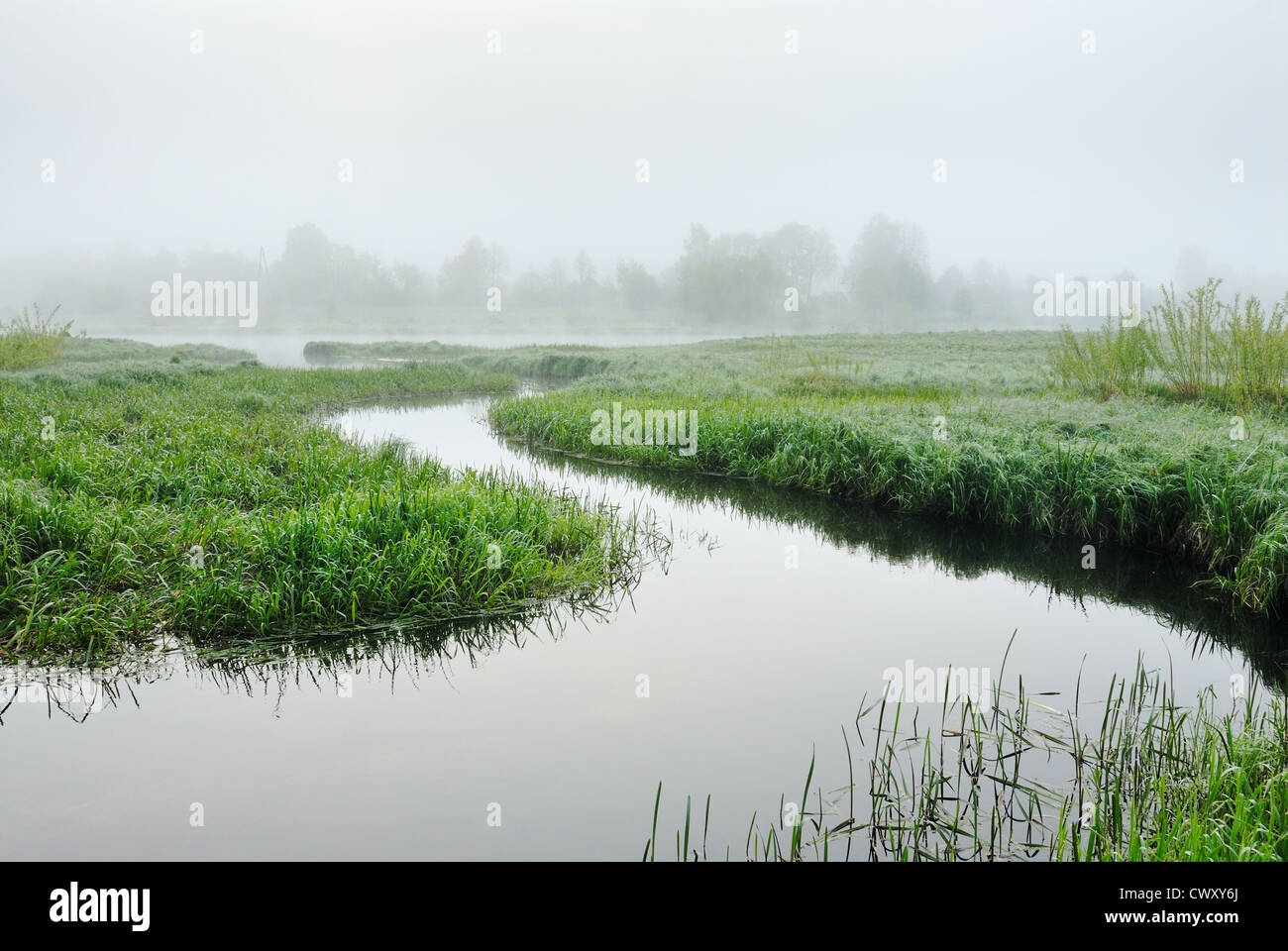 Mist rising over river hi-res stock photography and images - Alamy