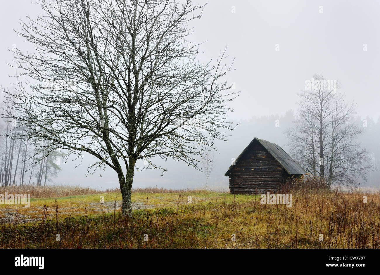 Rural landscape, overcast autumn morning in the village Stock Photo - Alamy