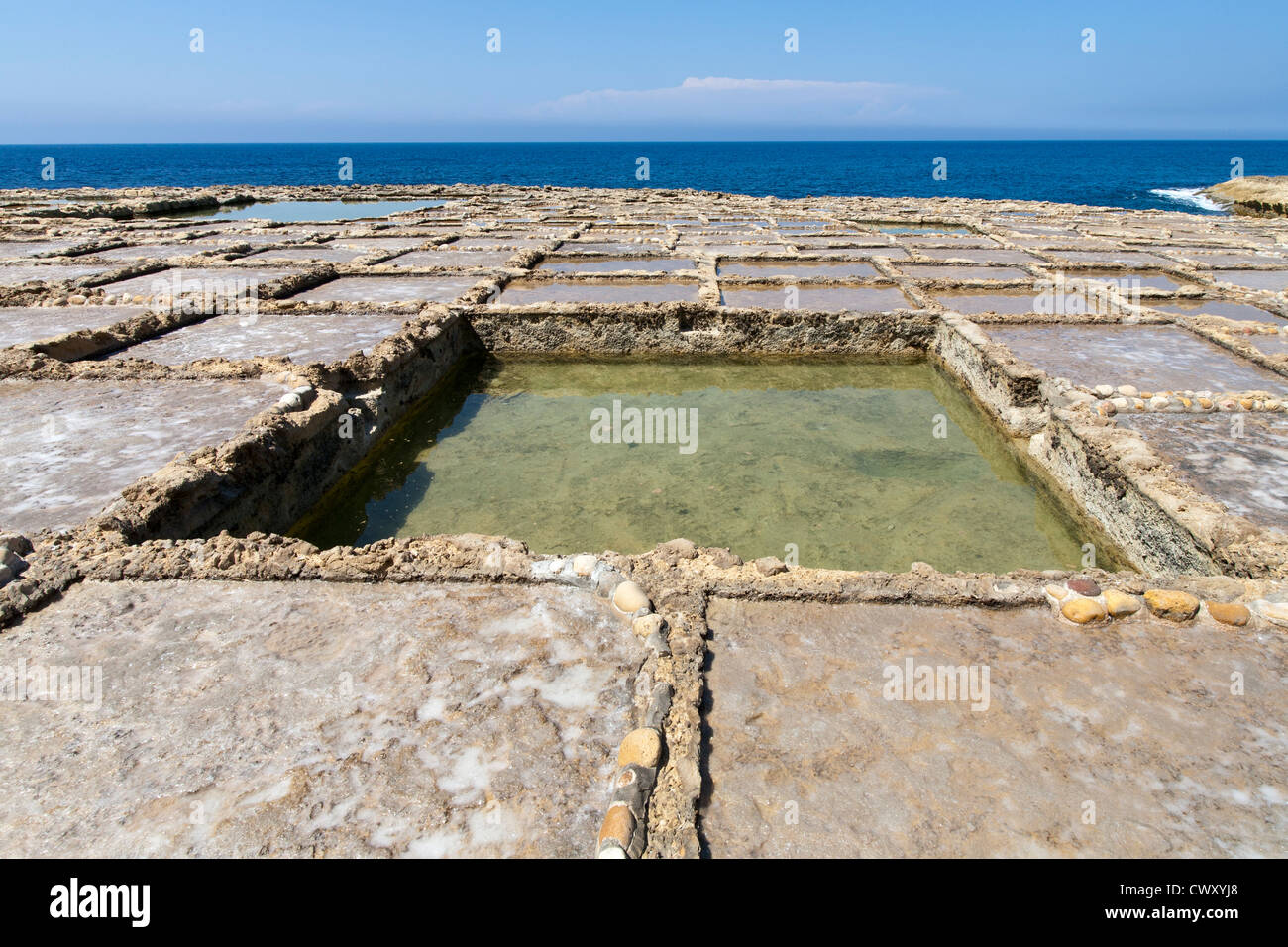 Sodium channels hi-res stock photography and images - Alamy