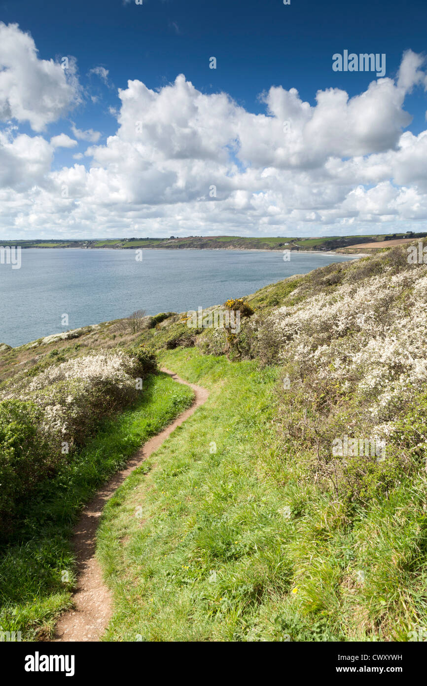Nare Head; looking towards Pendower Beach; St Just in Roseland ...