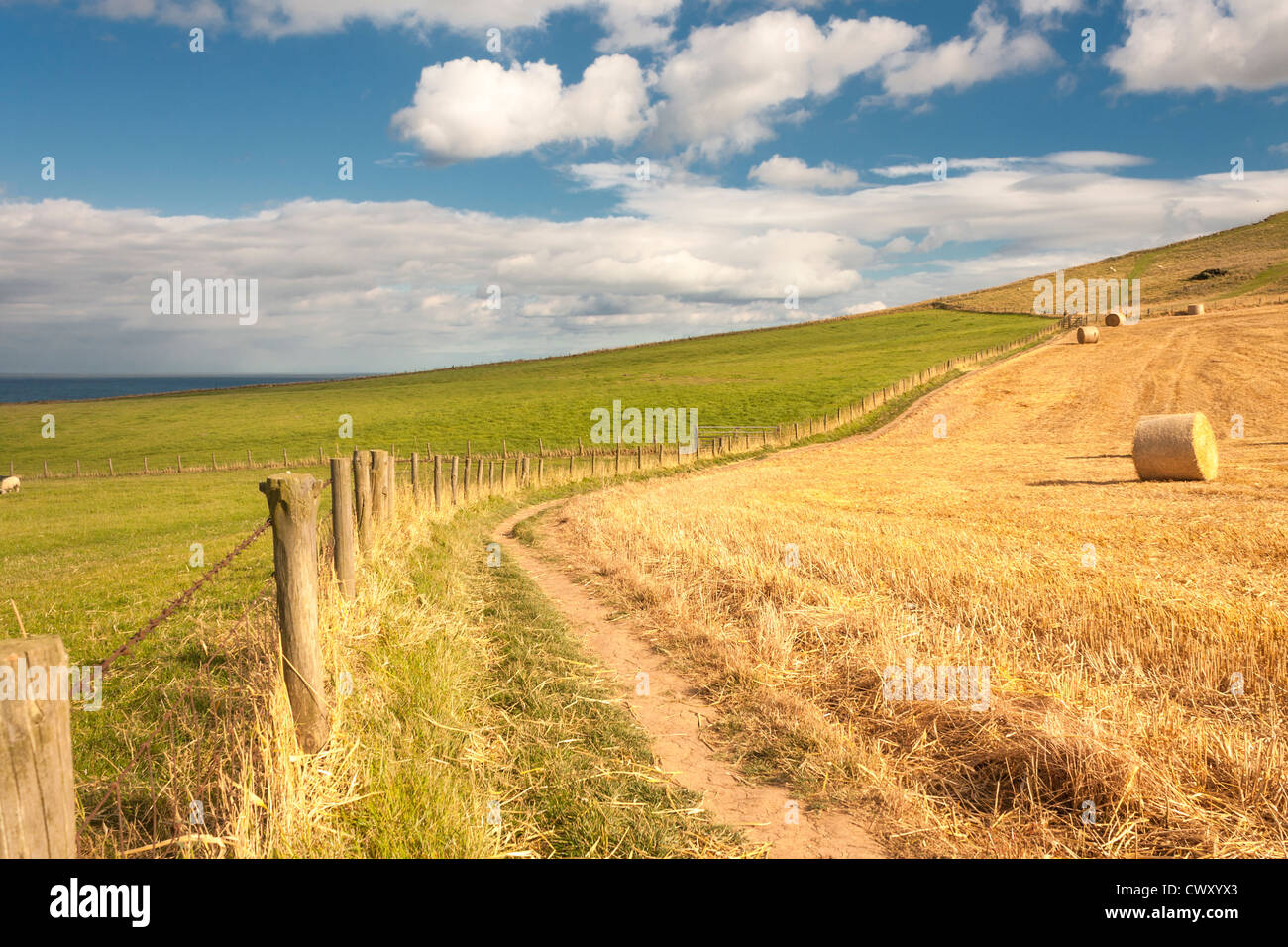 The Cleveland Way walk between Staithes and Port Mulgrave Stock Photo ...