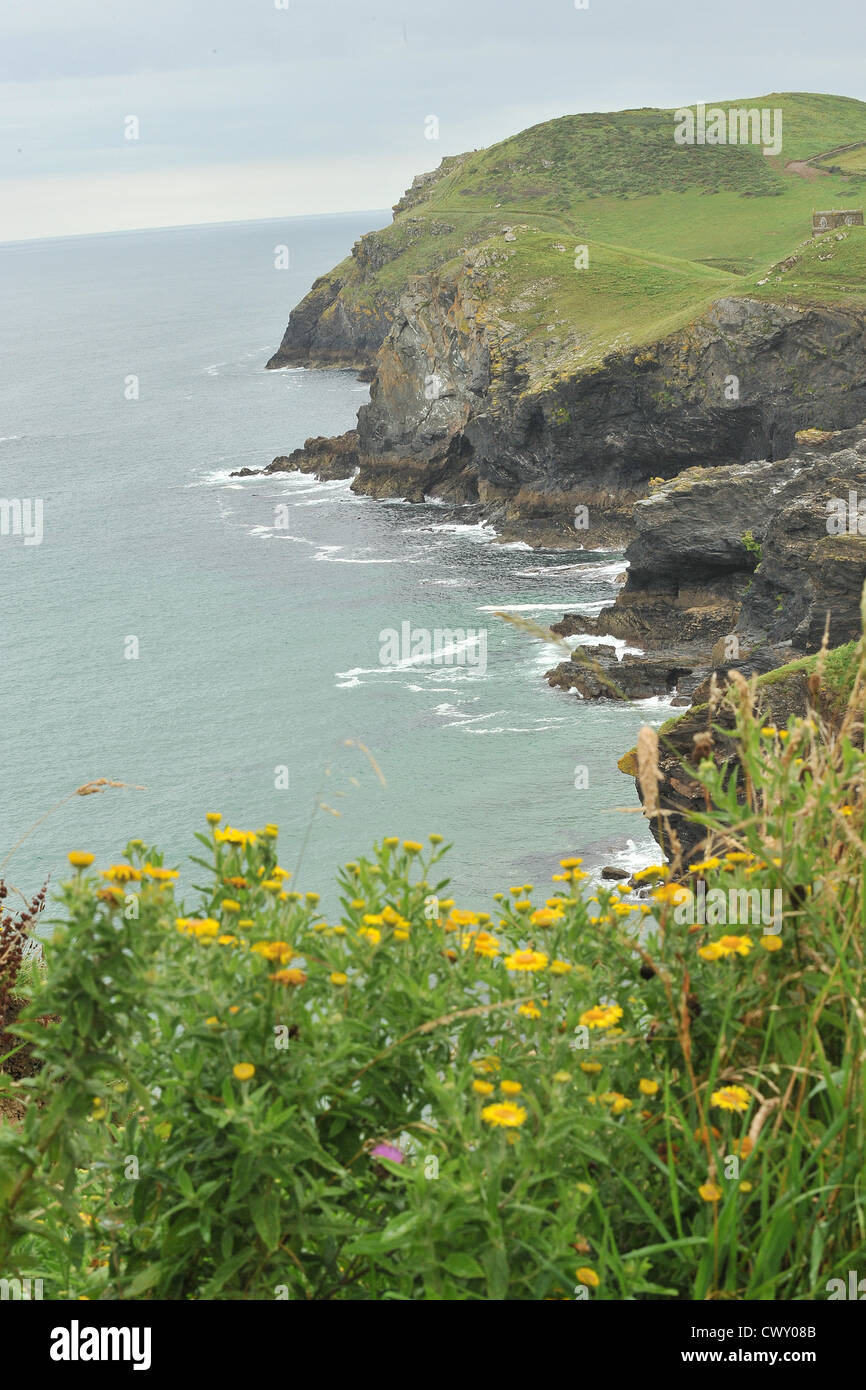 North cornwall coast path hi-res stock photography and images - Alamy