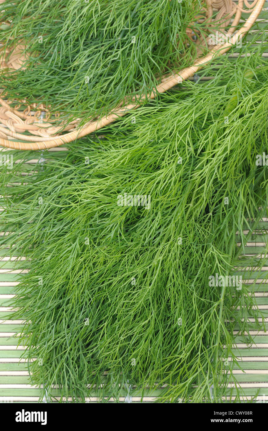 The bunch of dill lying on wicker to a mat on kitchen Stock Photo - Alamy