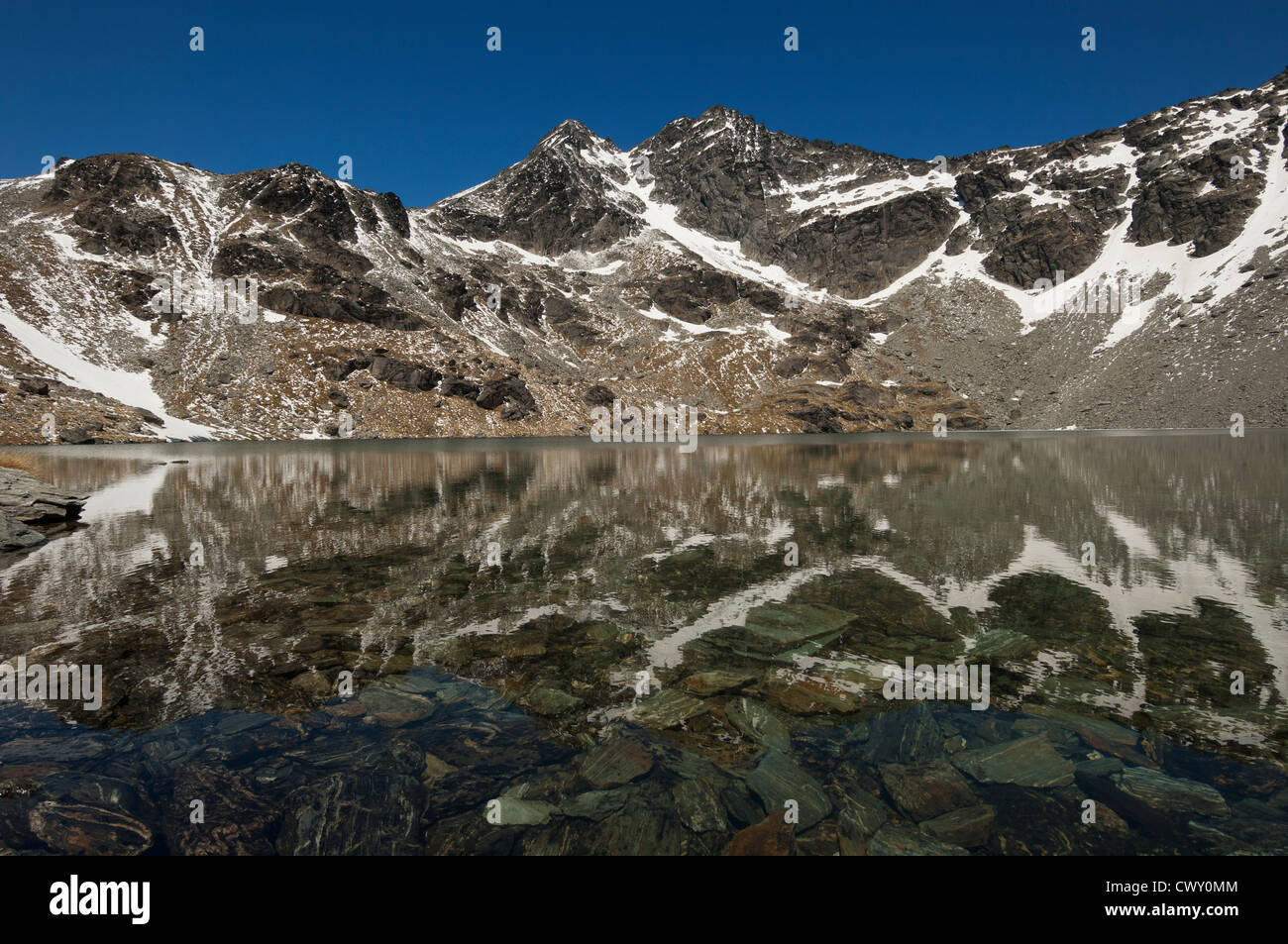 View single cone double cone hi-res stock photography and images - Alamy