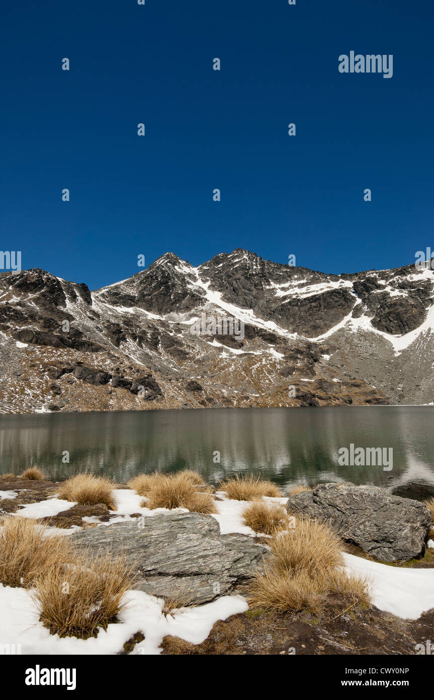 View single cone double cone hi-res stock photography and images - Alamy