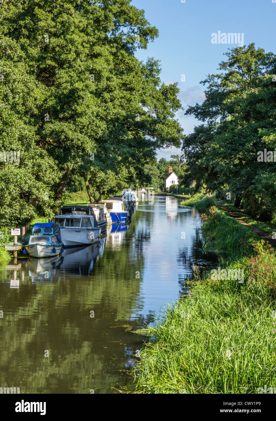 River Wey Navigation, Boats moored at Send, Surrey, England, UK. Europe ...